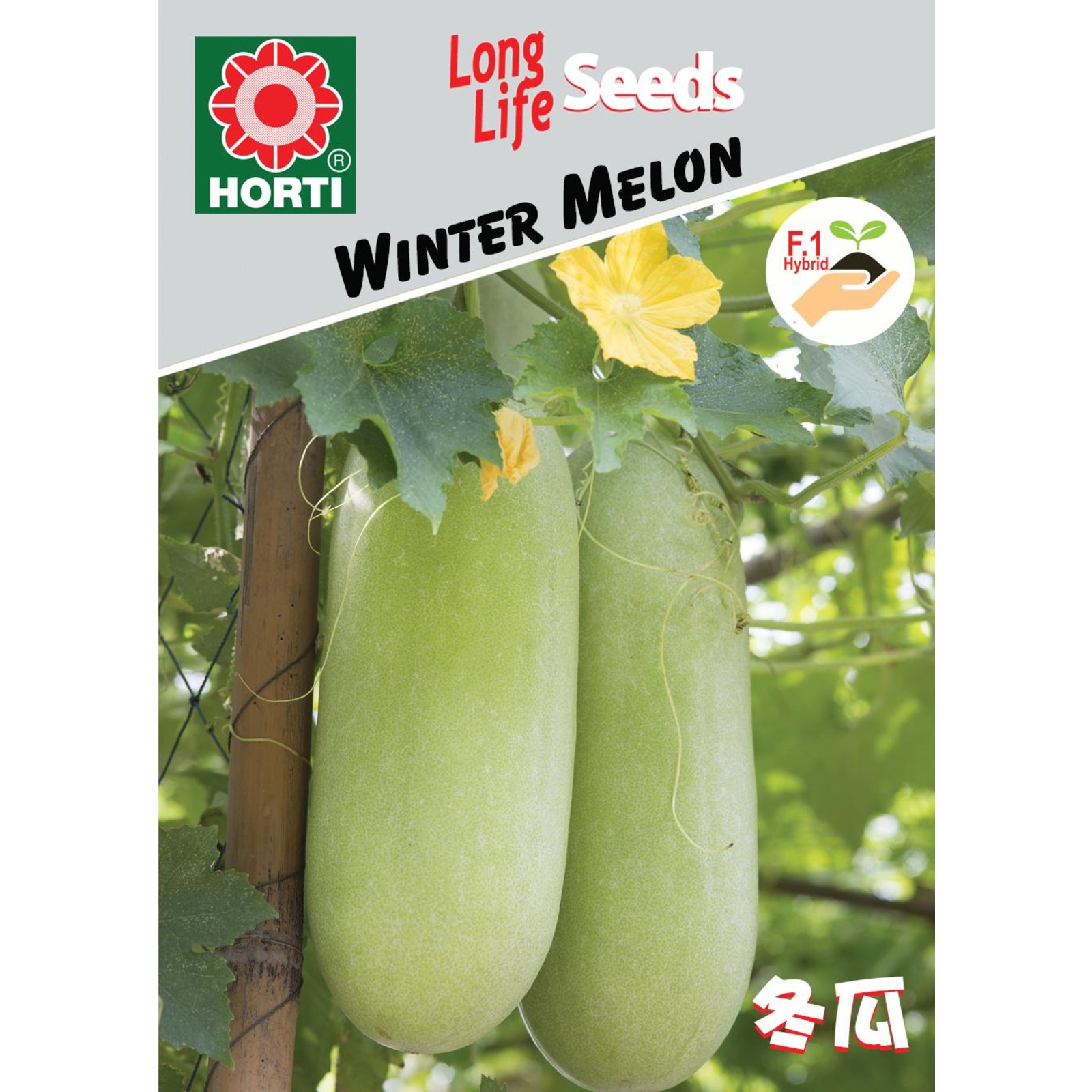 Winter Melon Seeds | NTUC FairPrice