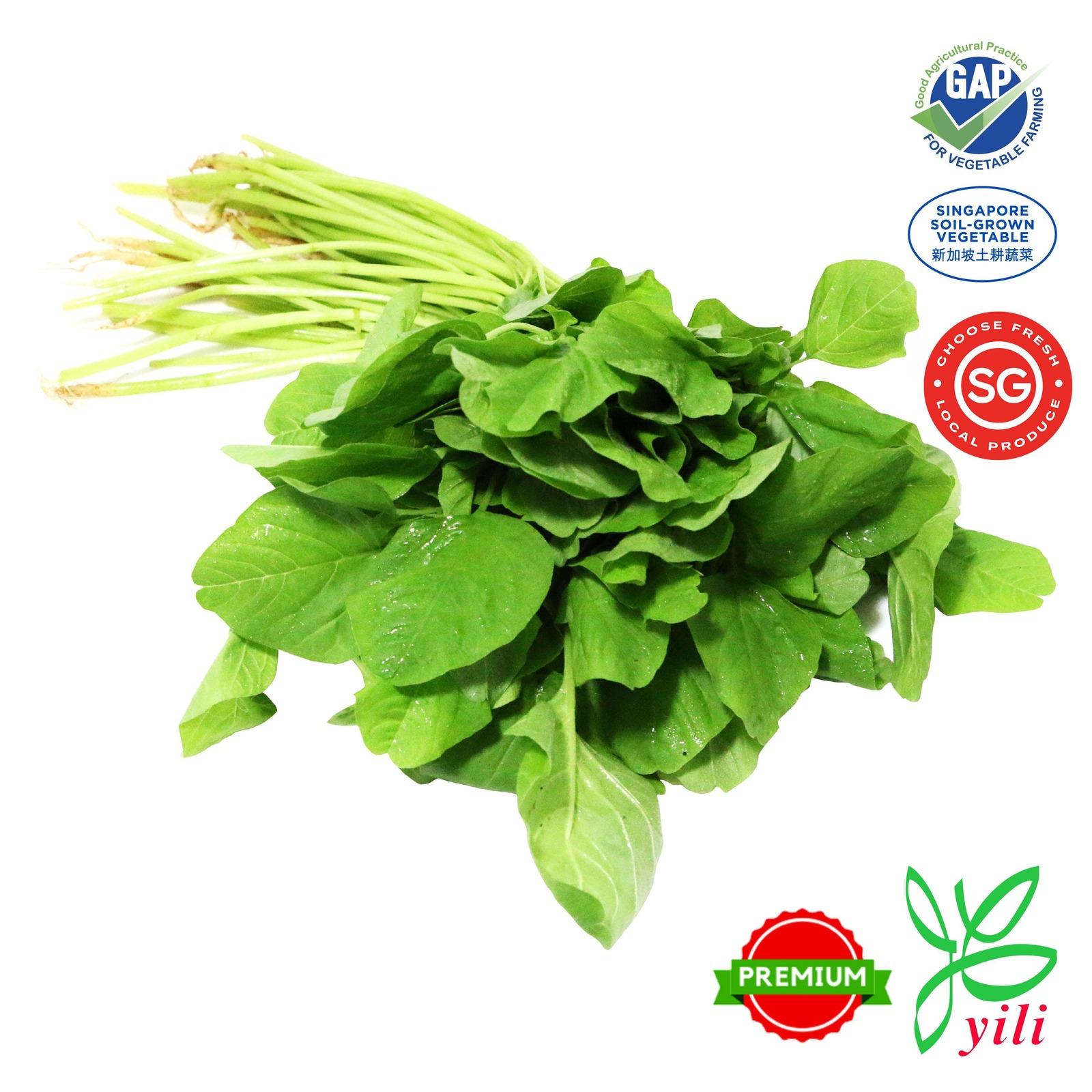 Yili Farm Premium Round Spinach | NTUC FairPrice