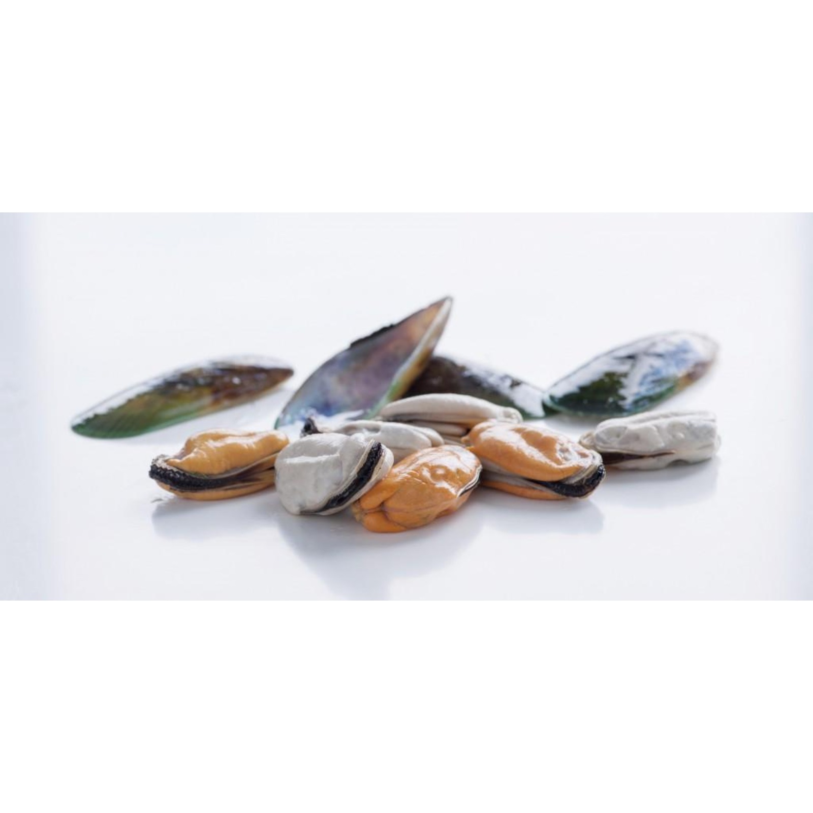 Catch Seafood Chilean Mussel Meat 500g | NTUC FairPrice