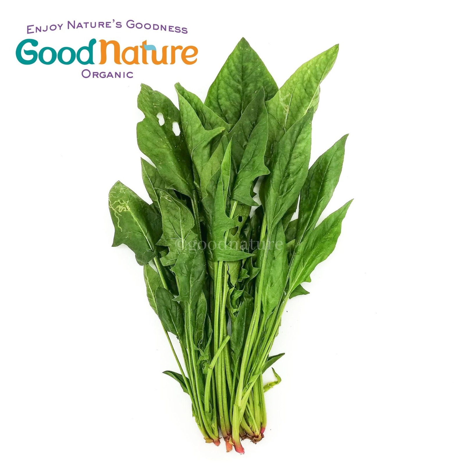 Good Nature Organic English Spinach (Puay Leng) | NTUC FairPrice