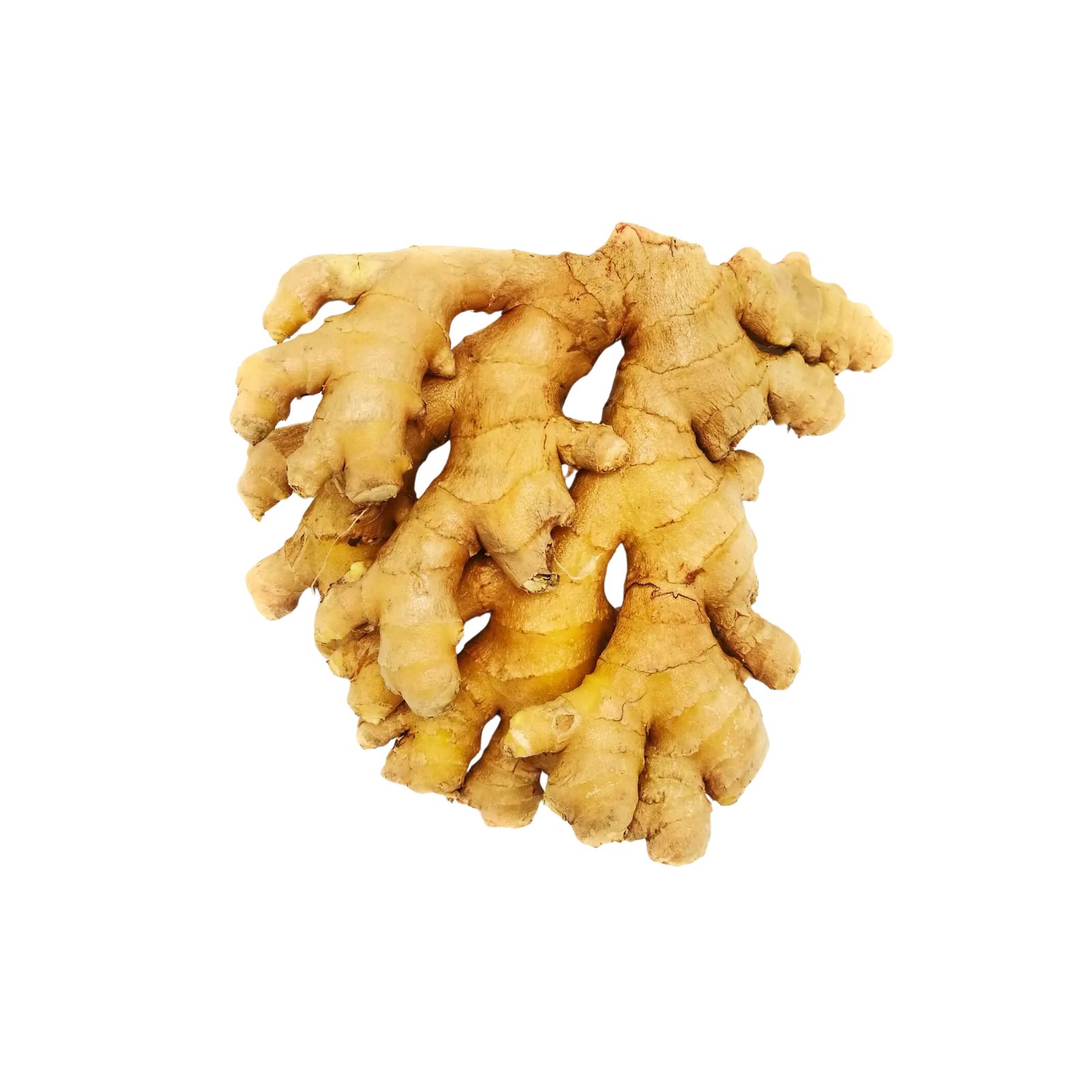 ZENXIN Organic Peruvian Ginger | NTUC FairPrice