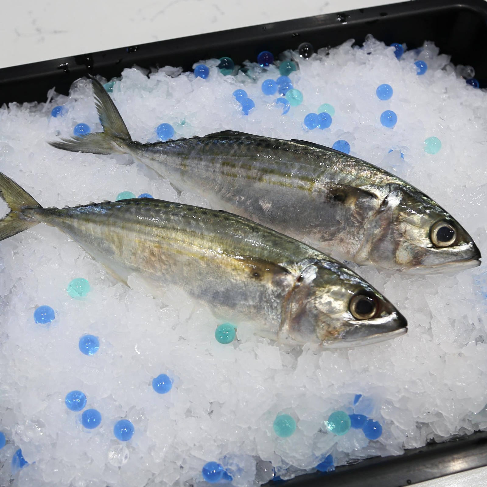 Aw's Market Fresh Kembong Fish | NTUC FairPrice