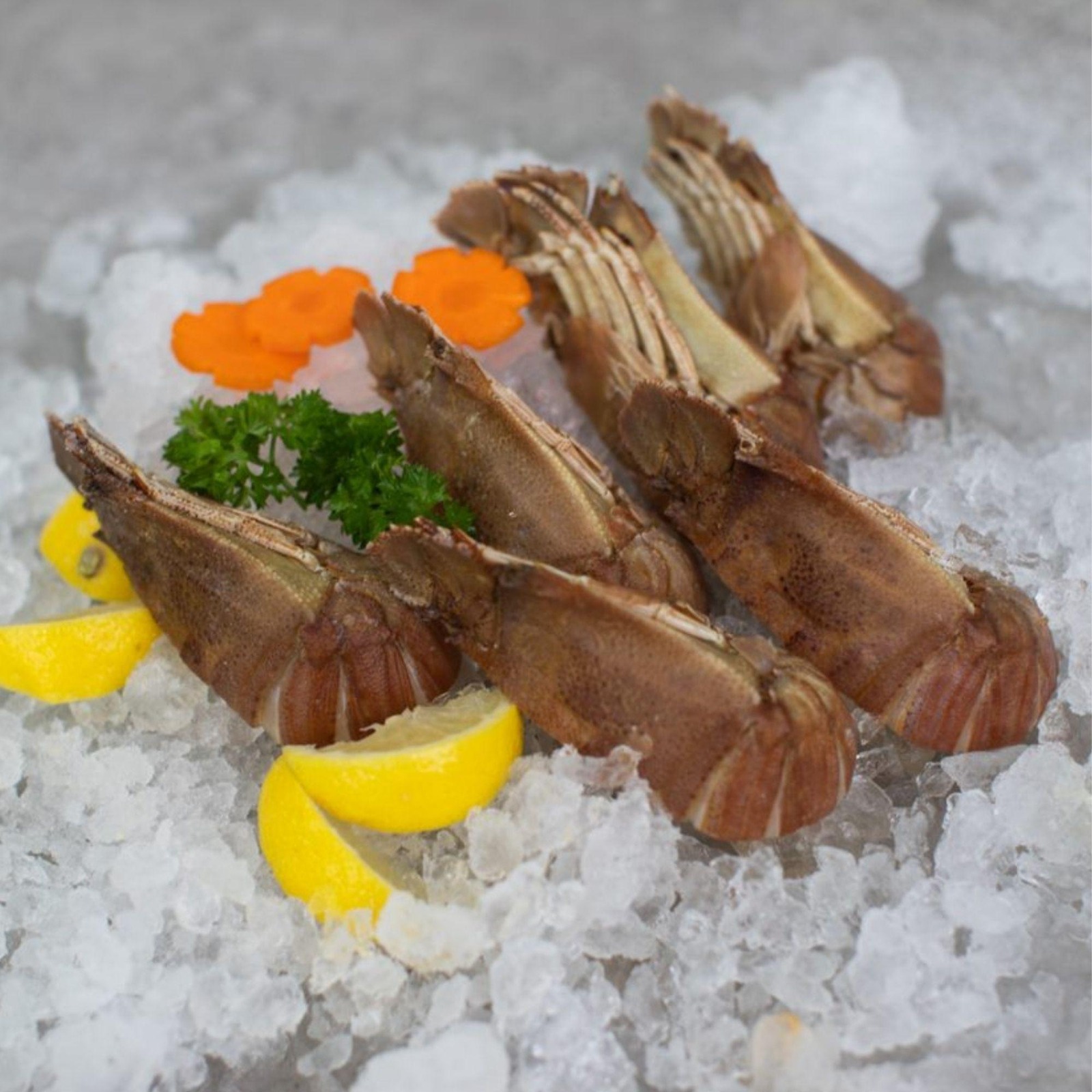 Snow Treasures Premium Slipper Lobster (Cut Half) | NTUC FairPrice