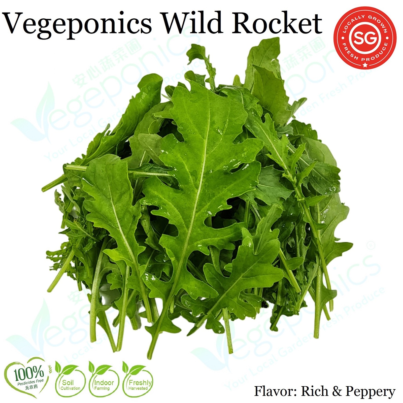 Vegeponics Wild Rocket | NTUC FairPrice