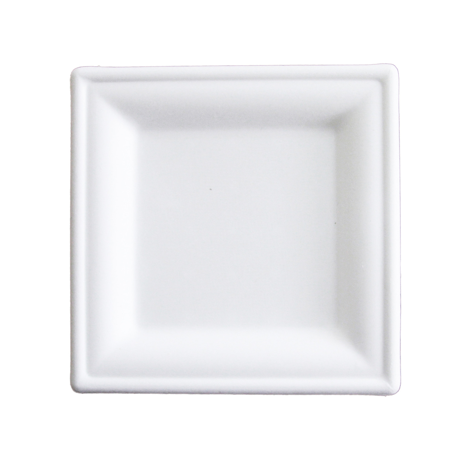 eco u 8 Inch Sugarcane Square Plates Disposable Biodegradable | NTUC ...