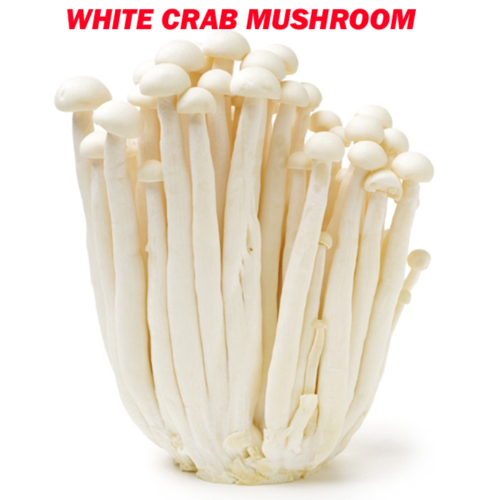 Orgo Fresh White Crab Mushroom (Snow Mushroom) | NTUC FairPrice