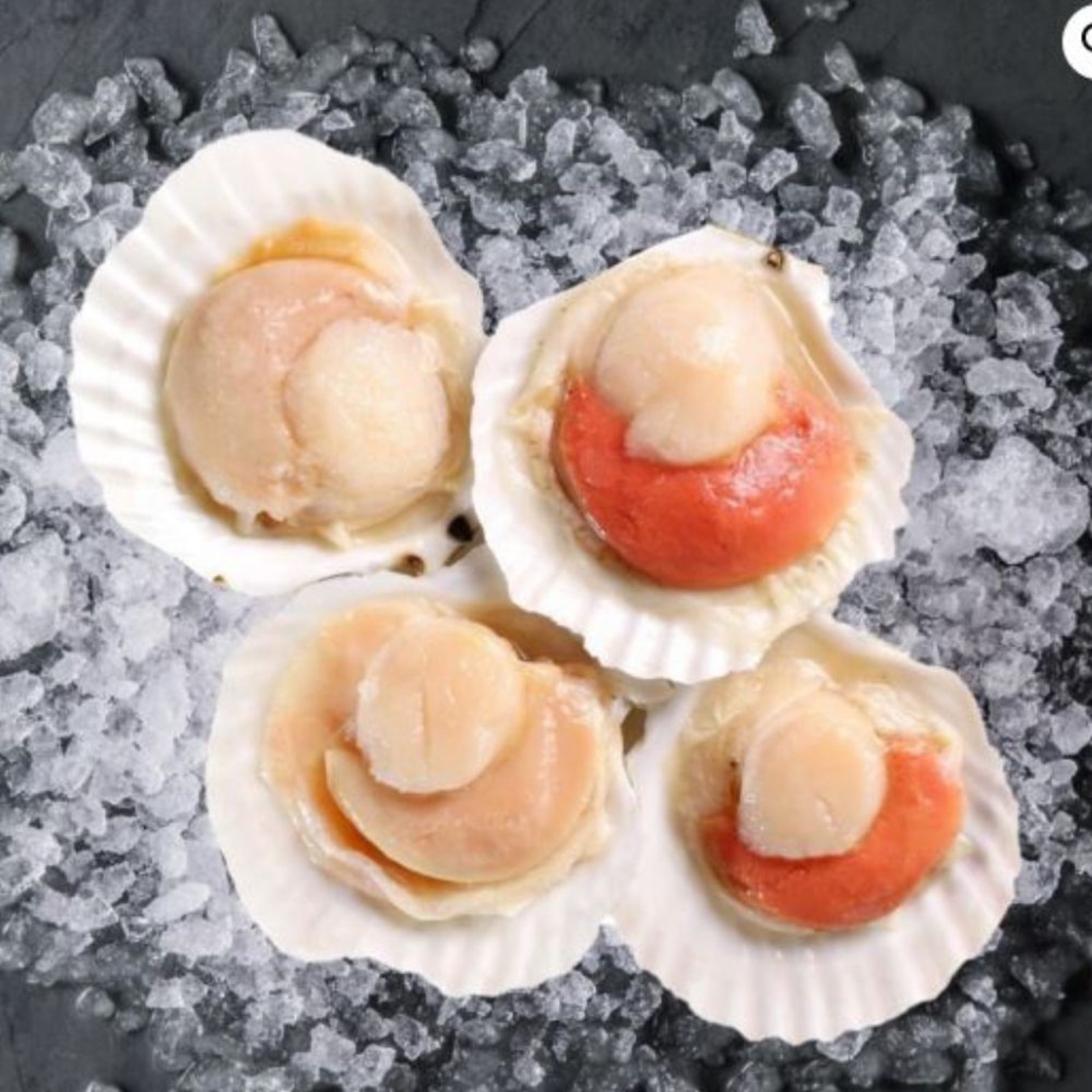 Ken Ken Half Shell Scallop (8-10cm) - Frozen | NTUC FairPrice