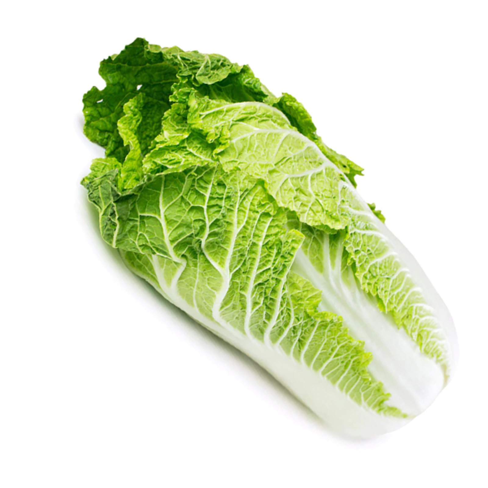 Orgo Fresh Long Cabbage Wong Bok | NTUC FairPrice
