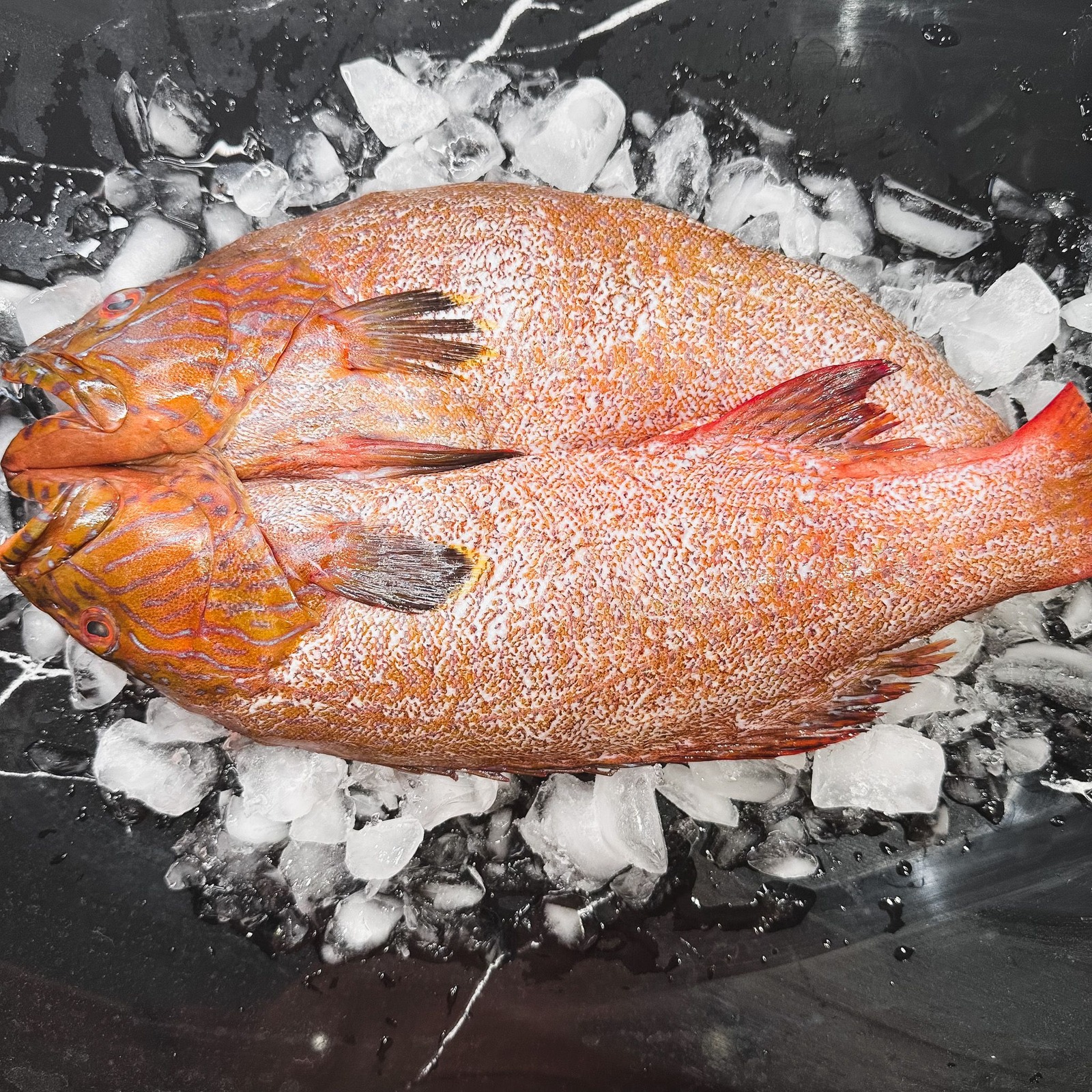 Aw's Market Fresh Red Grouper Whole Butterfly (Ang Gau) | NTUC FairPrice