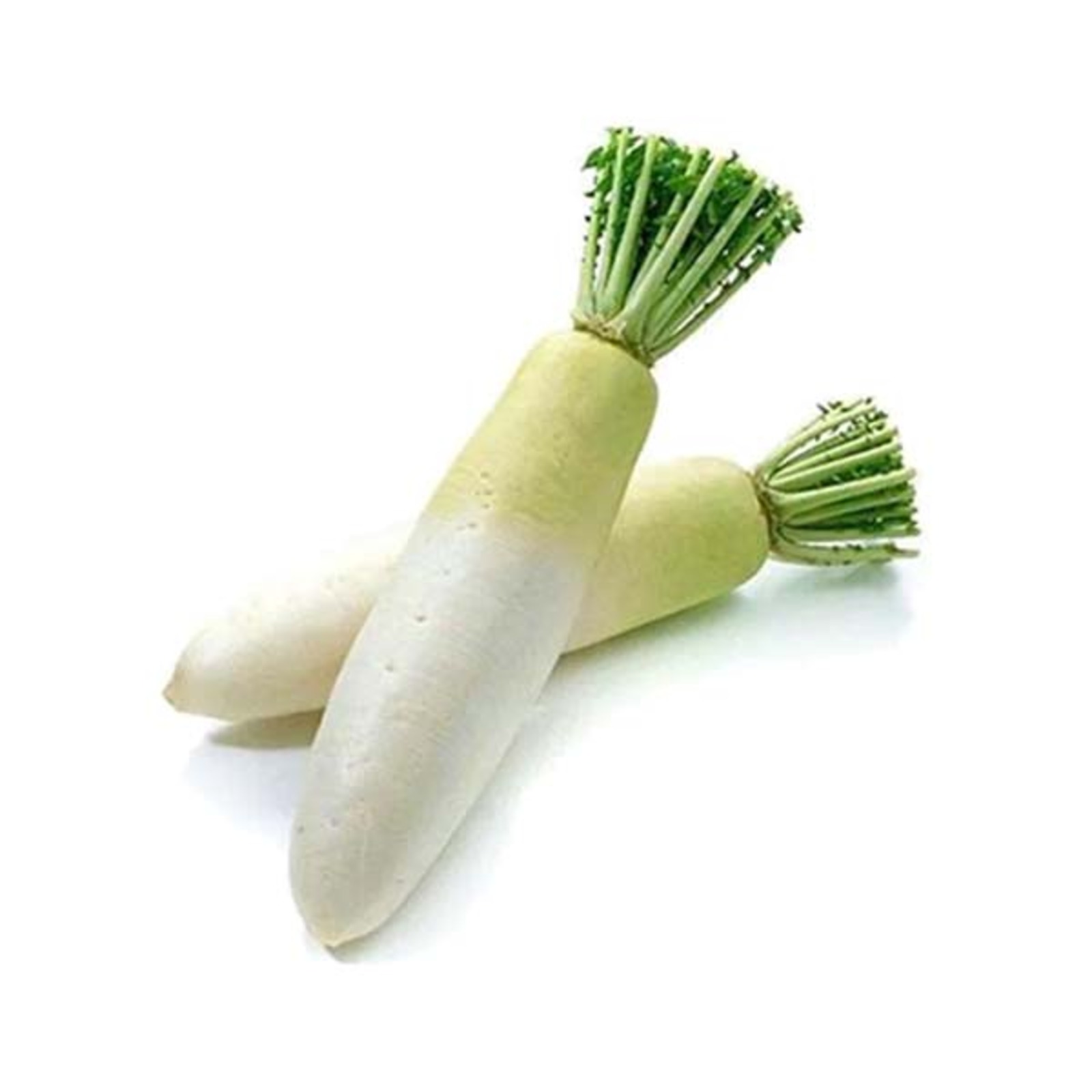 Orgo Fresh Daikon White Radish | NTUC FairPrice