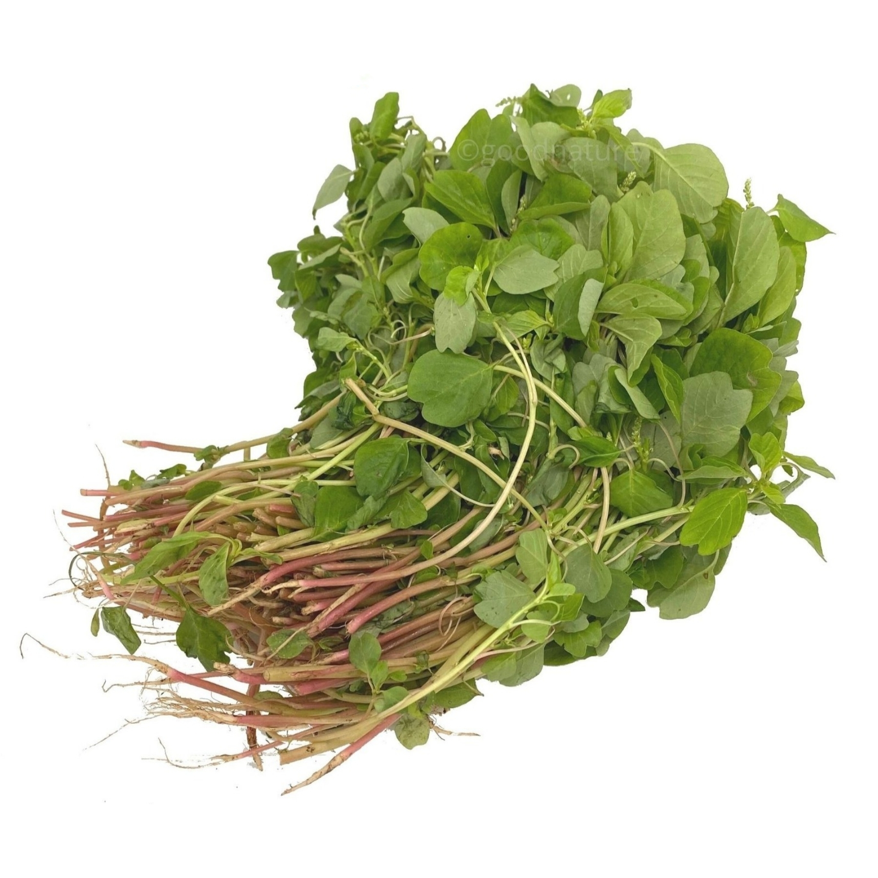 ZENXIN Organic Wild Bayam/ Spinach | NTUC FairPrice