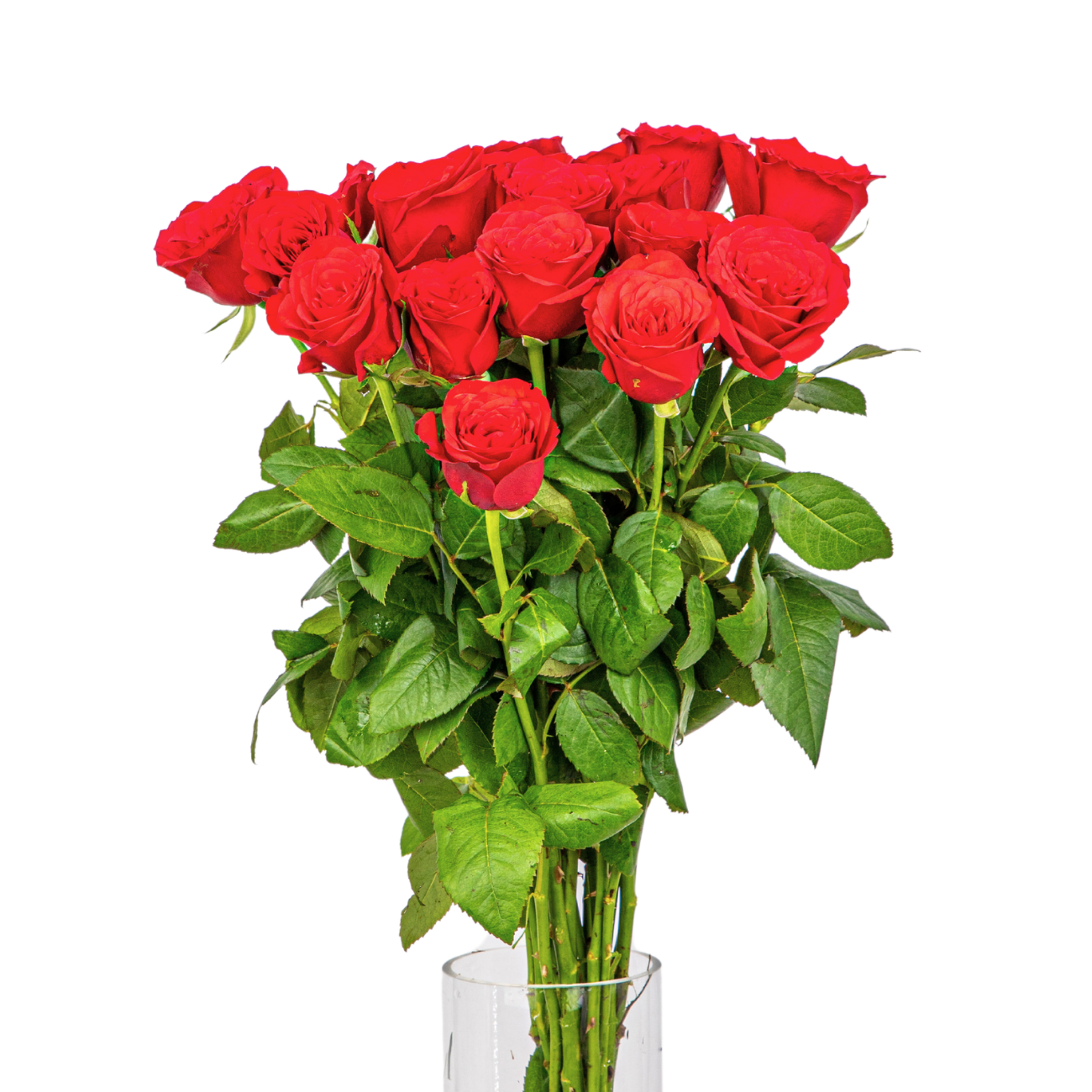JM Flower Rose (Basic Grade) - Red | NTUC FairPrice
