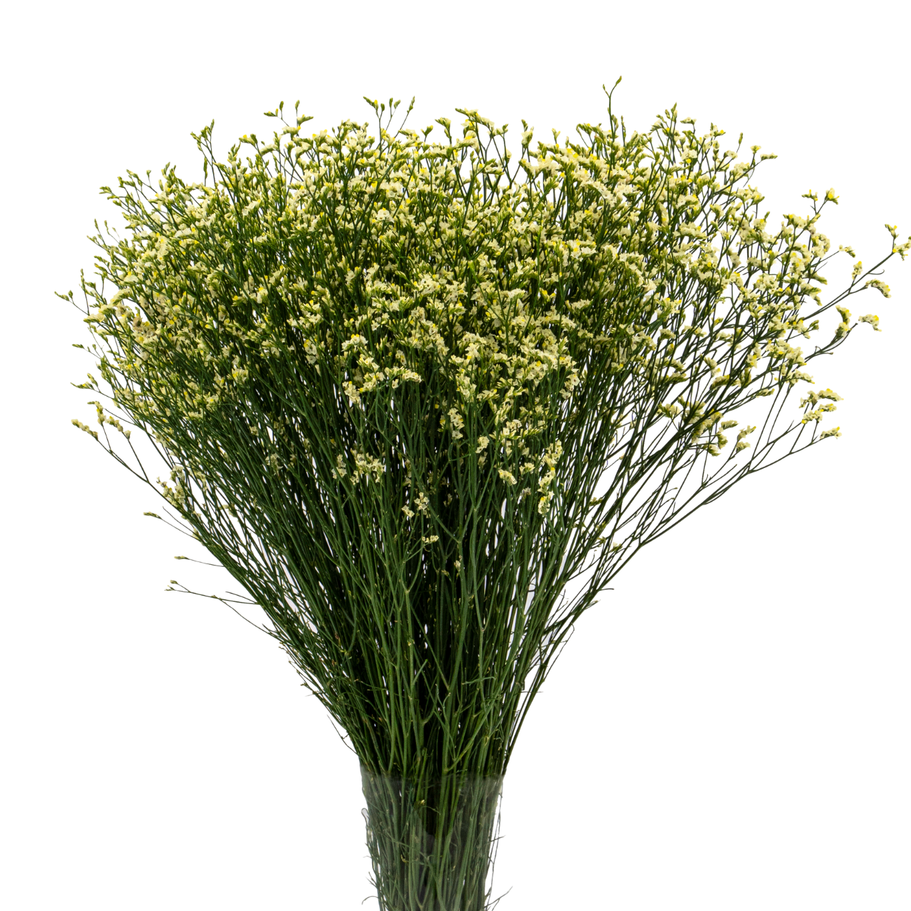 JM Flower Limonium Misty - Yellow | NTUC FairPrice