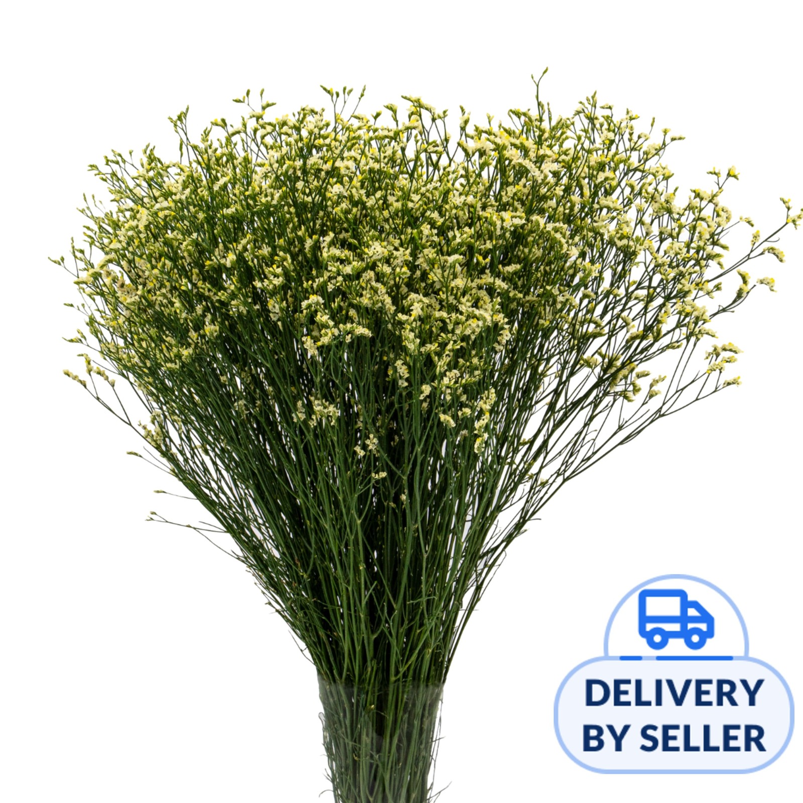JM Flower Limonium Misty - Yellow | NTUC FairPrice