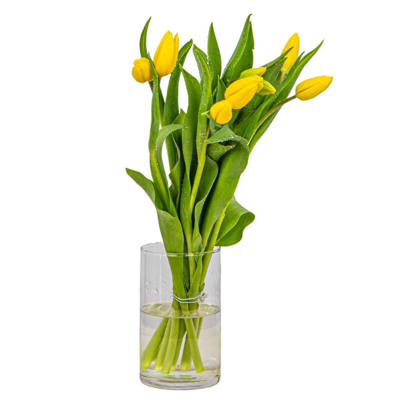 JM Flower Tulip - Yellow | NTUC FairPrice