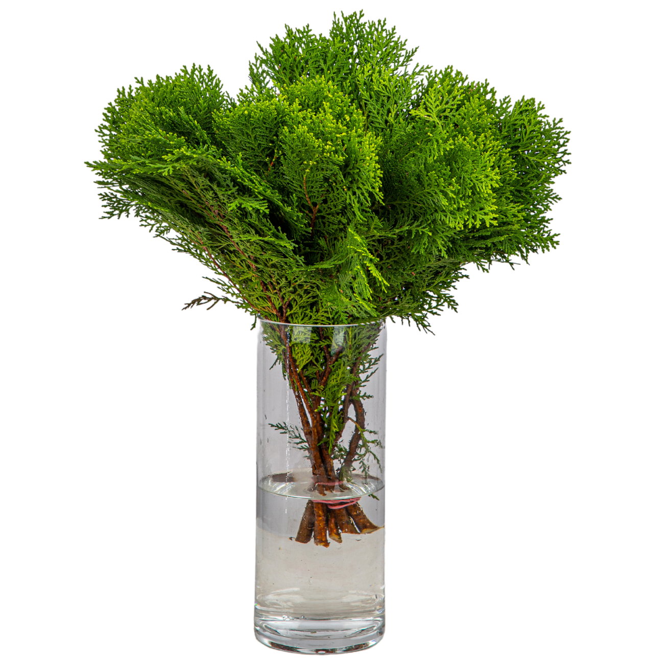 JM Flower Pin Par | NTUC FairPrice