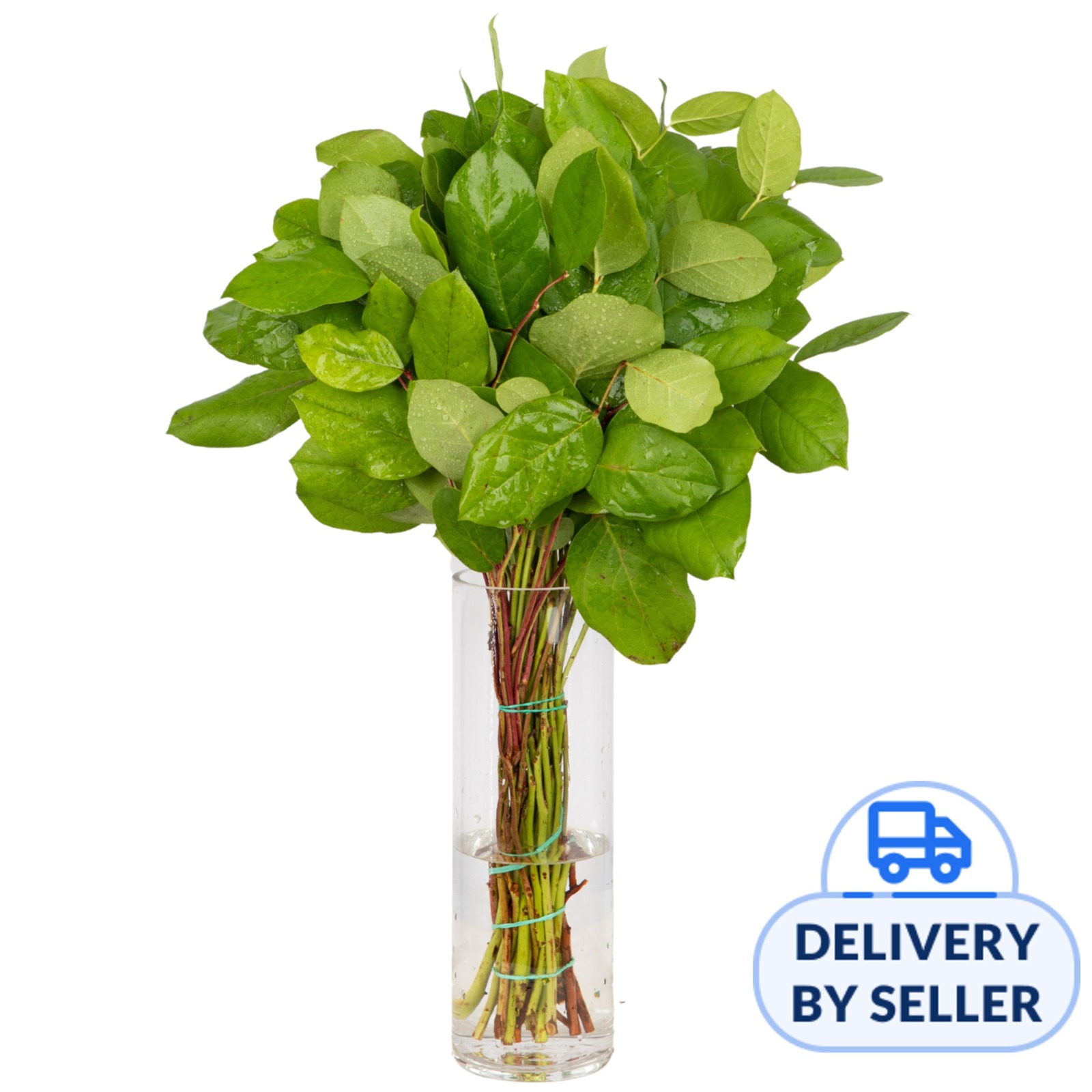 JM Flower Salal Tips | NTUC FairPrice