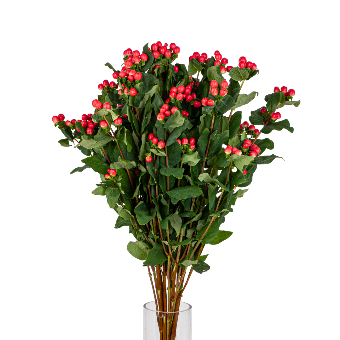 JM Flower Hypericum - Red | NTUC FairPrice