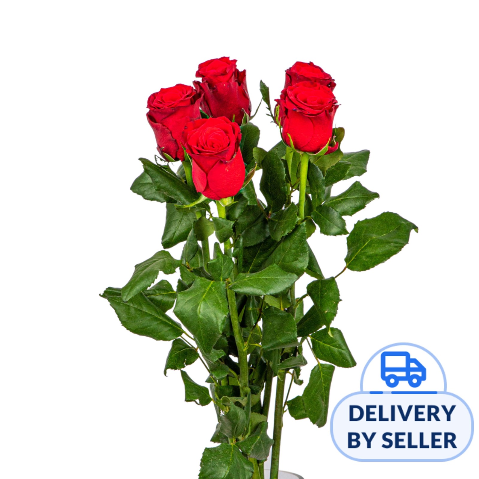 JM Flower Rose (Premium Grade) - Red | NTUC FairPrice