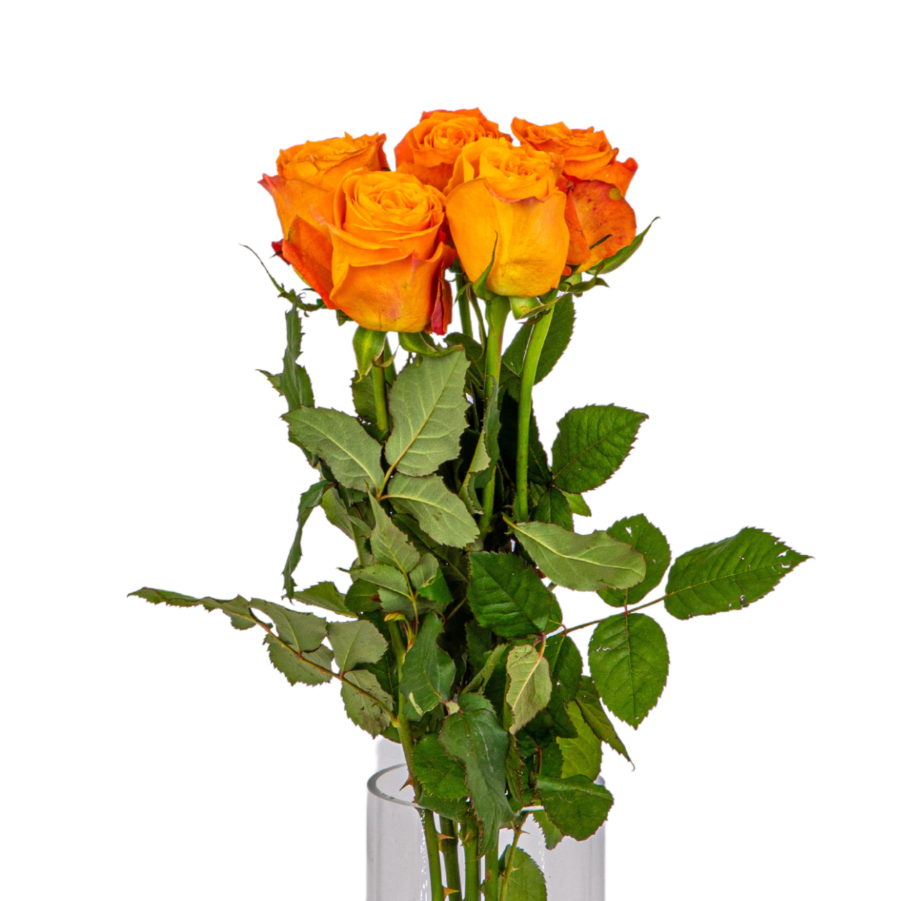 JM Flower Rose (Premium Grade) - Orange | NTUC FairPrice