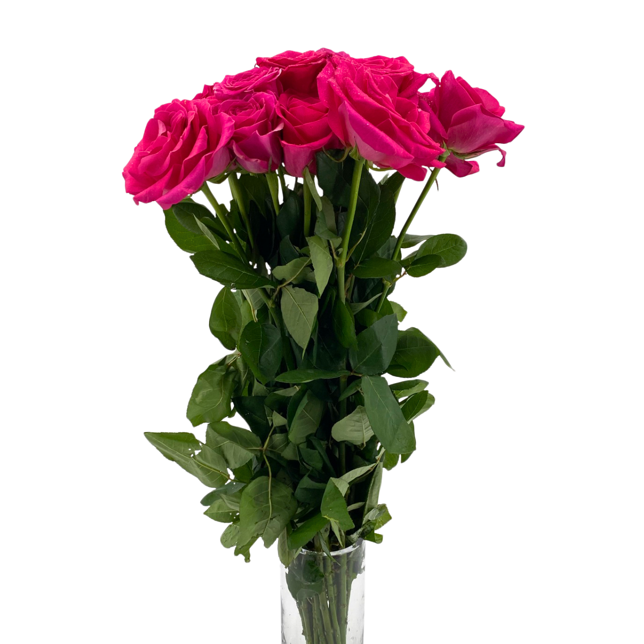 JM Flower Rose (Premium Grade) - Dark Pink | NTUC FairPrice