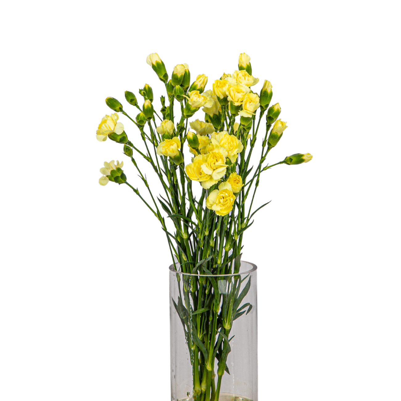 JM Flower Carnation Spray (Standard Grade) - Yellow | NTUC FairPrice