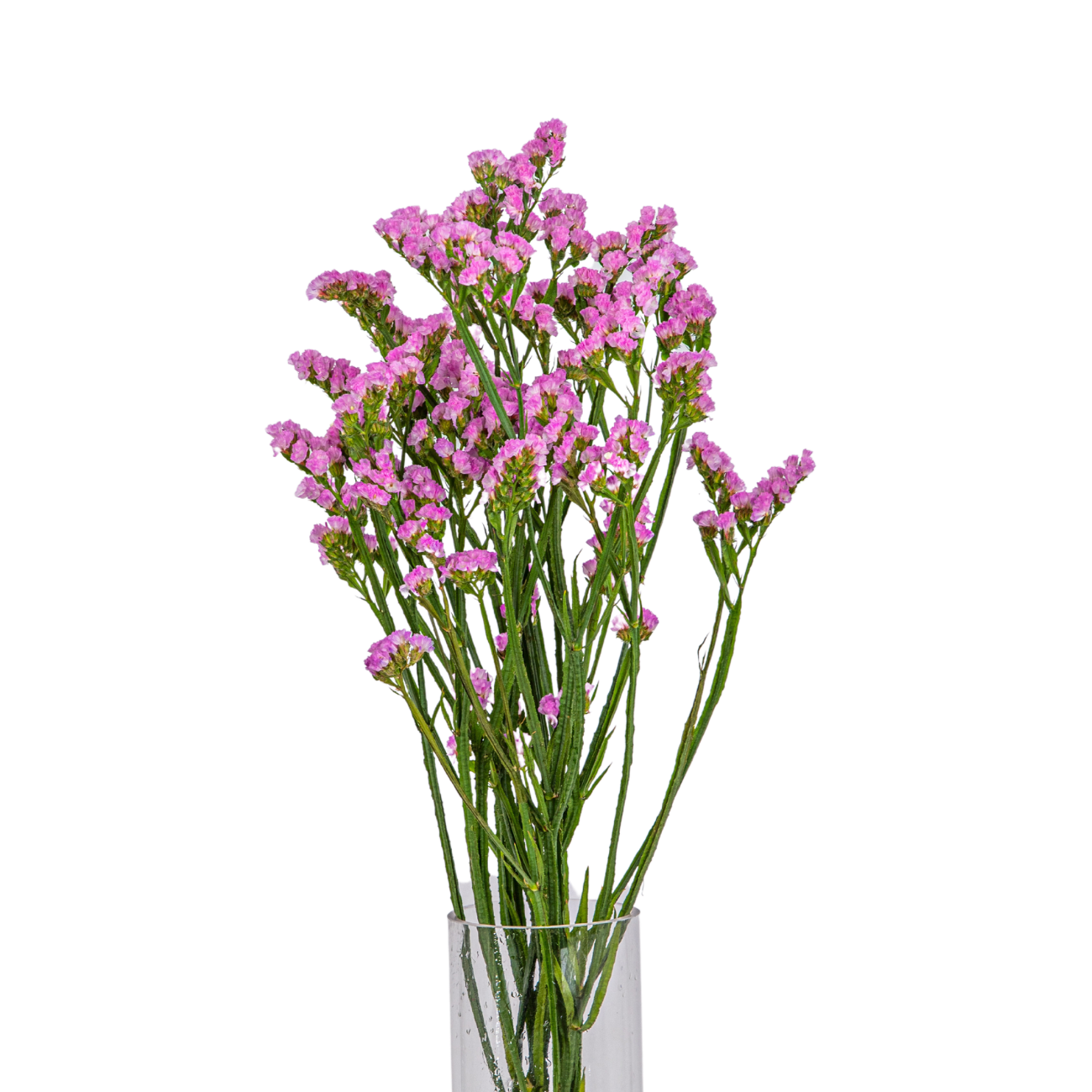 JM Flower Statice - Pink | NTUC FairPrice