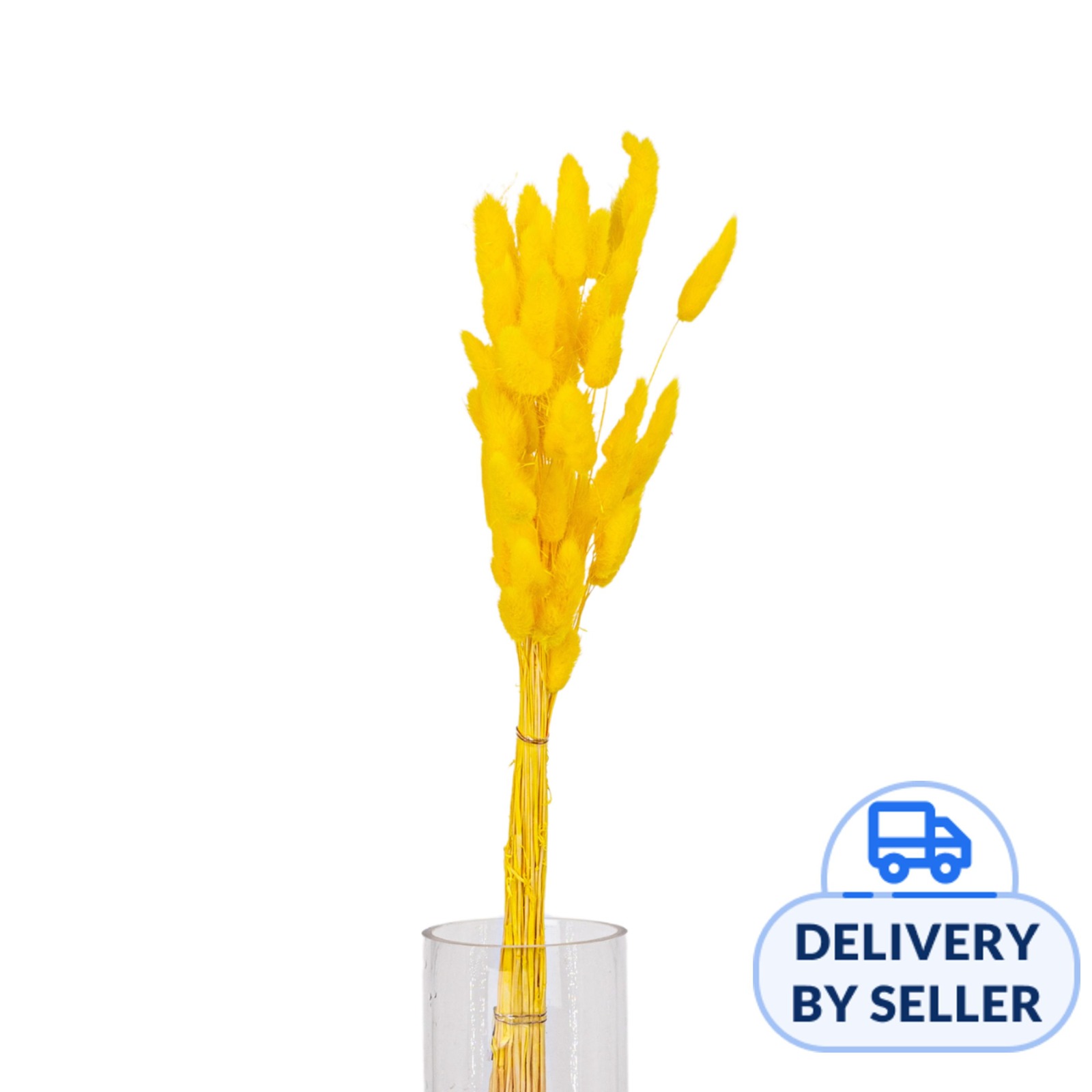 JM Flower Preserved Lagurus - Yellow | NTUC FairPrice