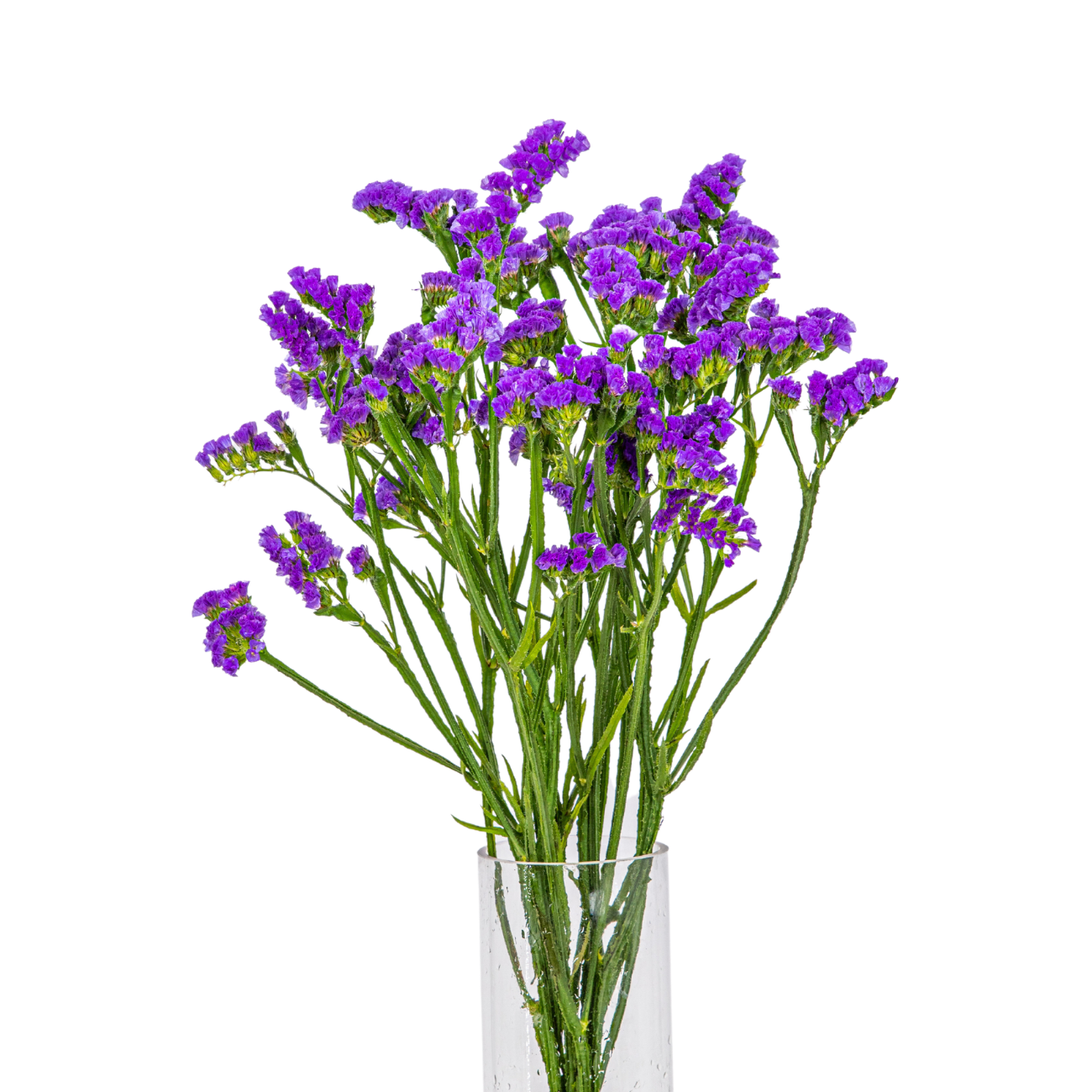 JM Flower Statice - Purple | NTUC FairPrice