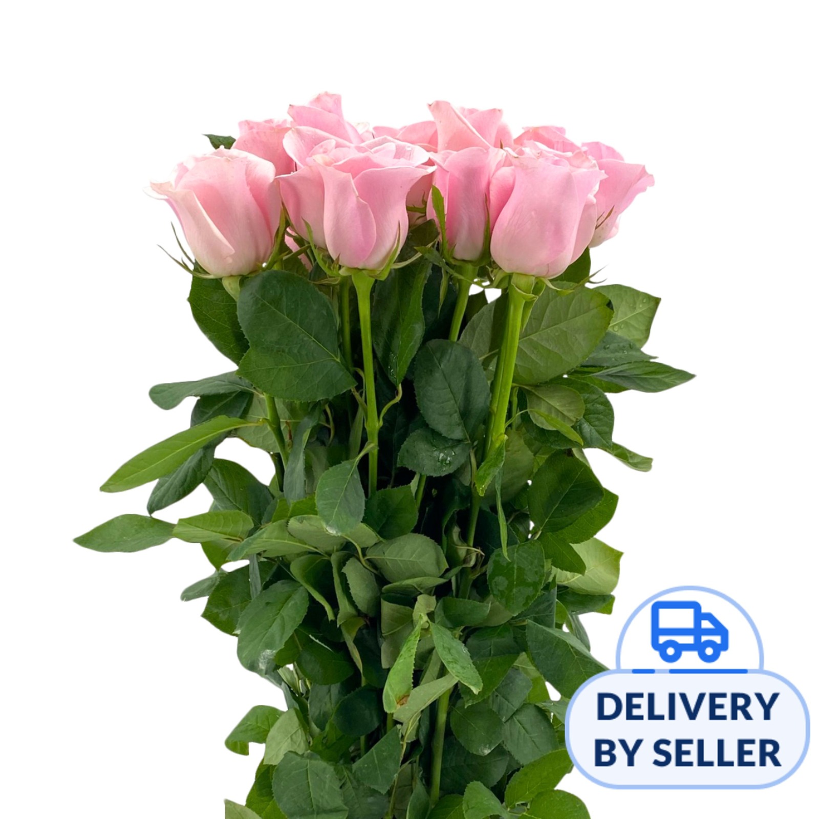 JM Flower Rose (Premium Grade) - Pink | NTUC FairPrice