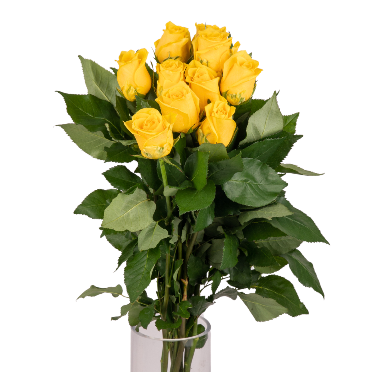 JM Flower Rose (Standard Grade) - Yellow | NTUC FairPrice