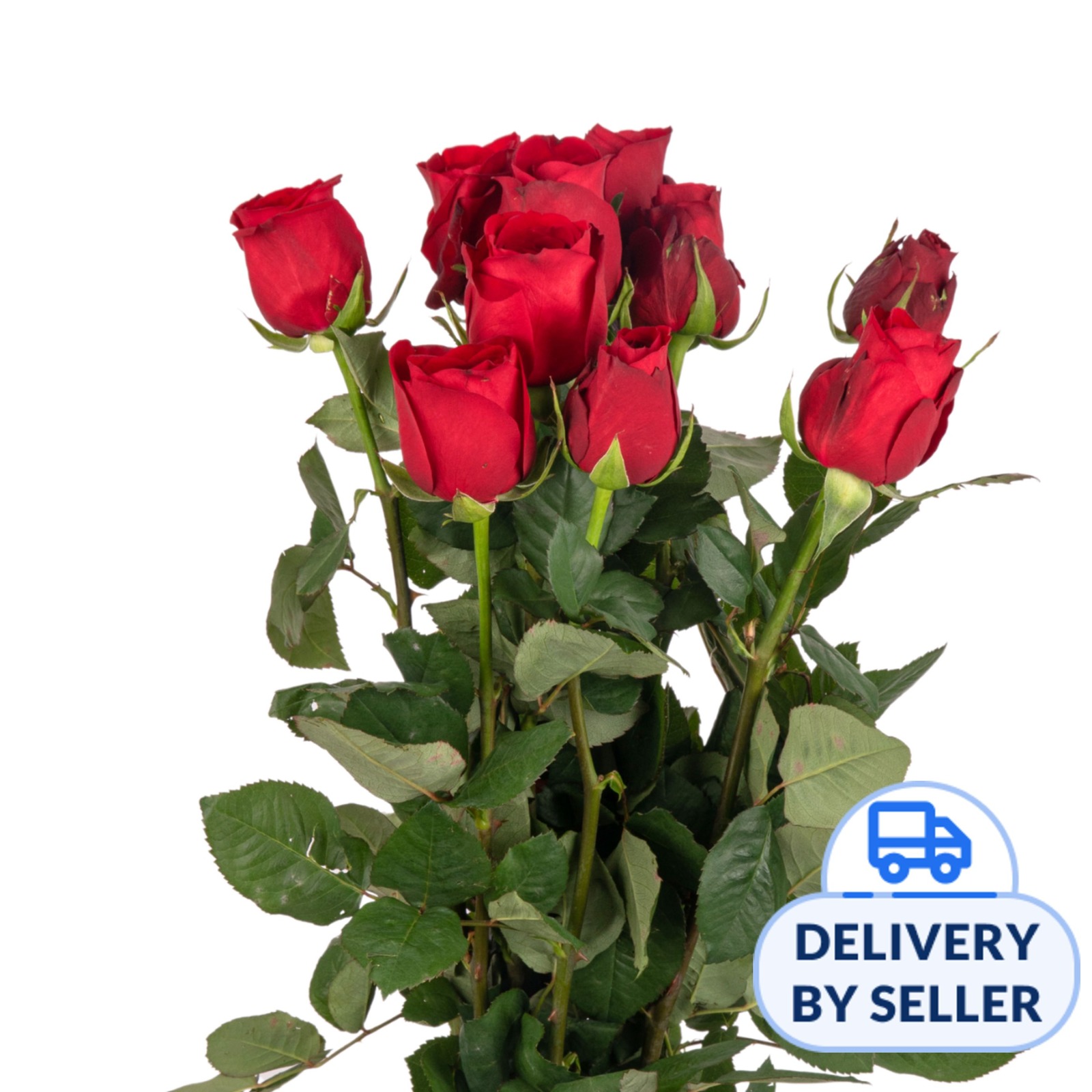 JM Flower Rose (Standard Grade) - Red | NTUC FairPrice