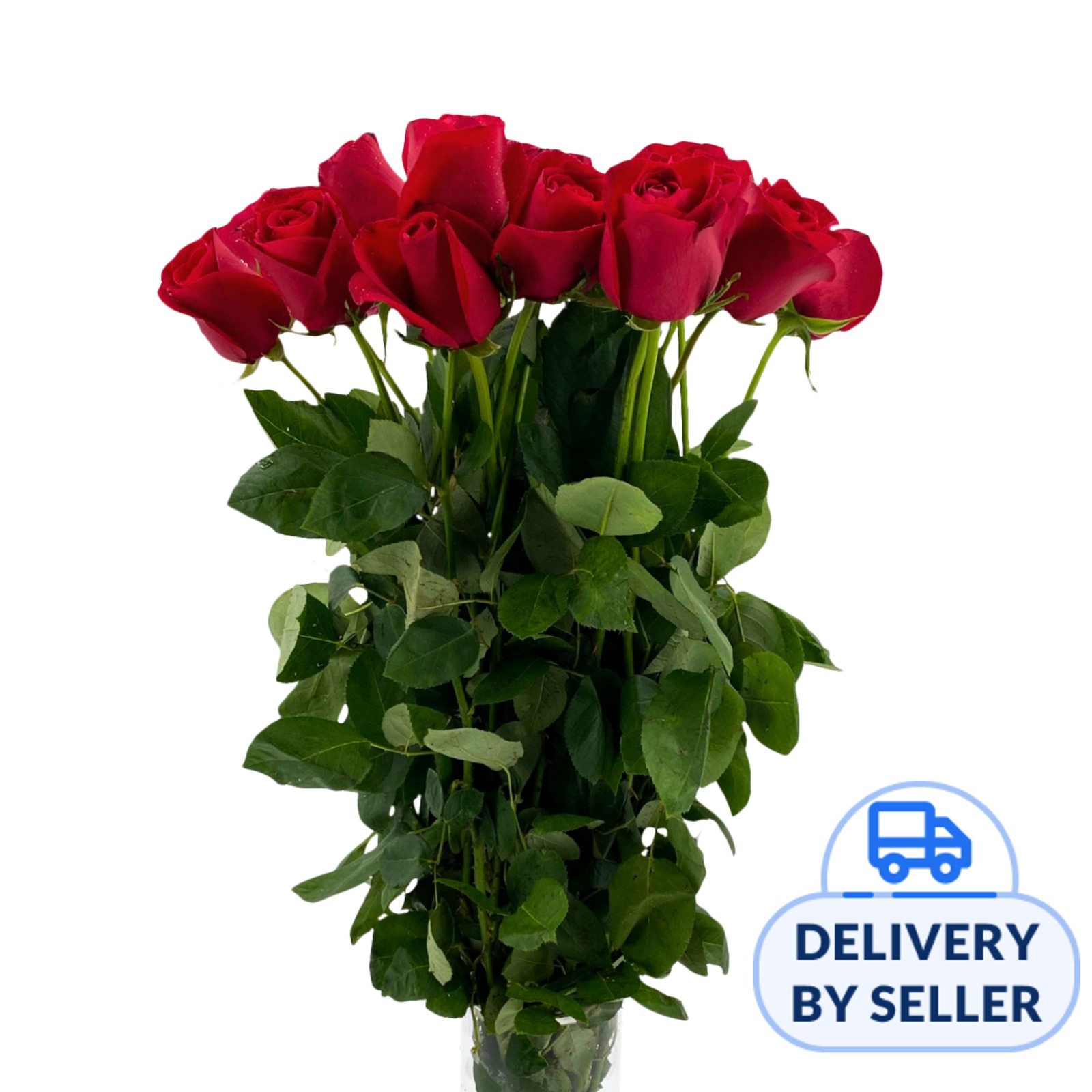 JM Flower Rose (Premium Grade) - Red | NTUC FairPrice