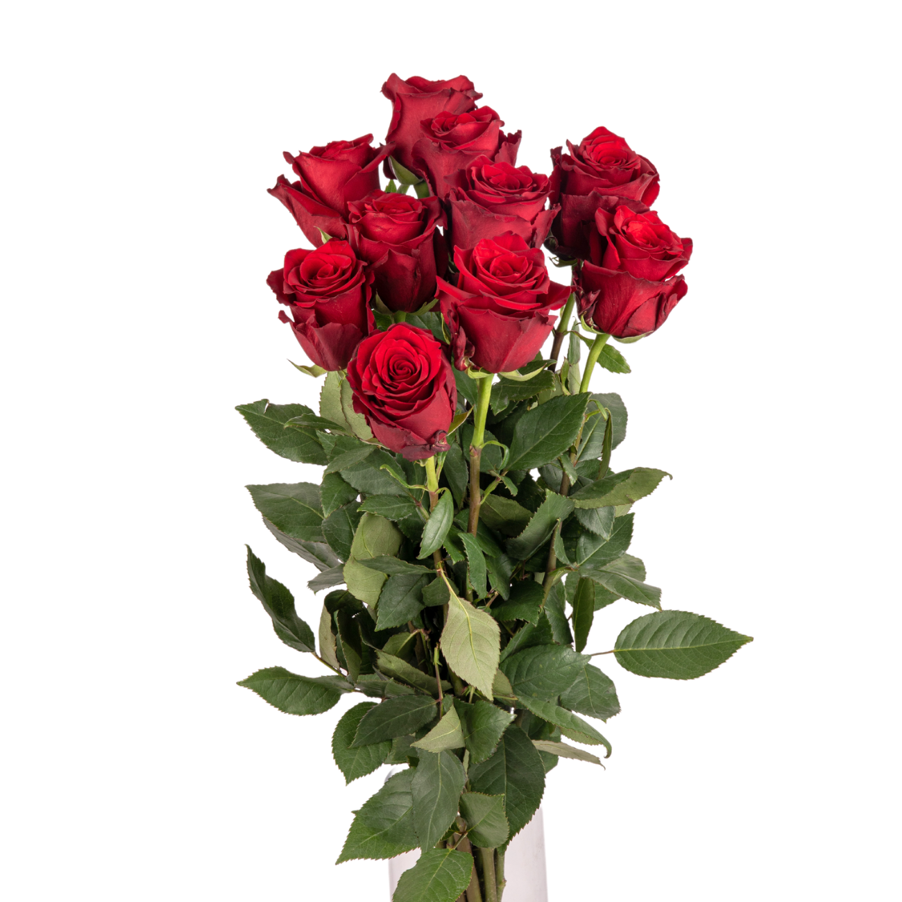 JM Flower Rose (Super Grade) - Red | NTUC FairPrice