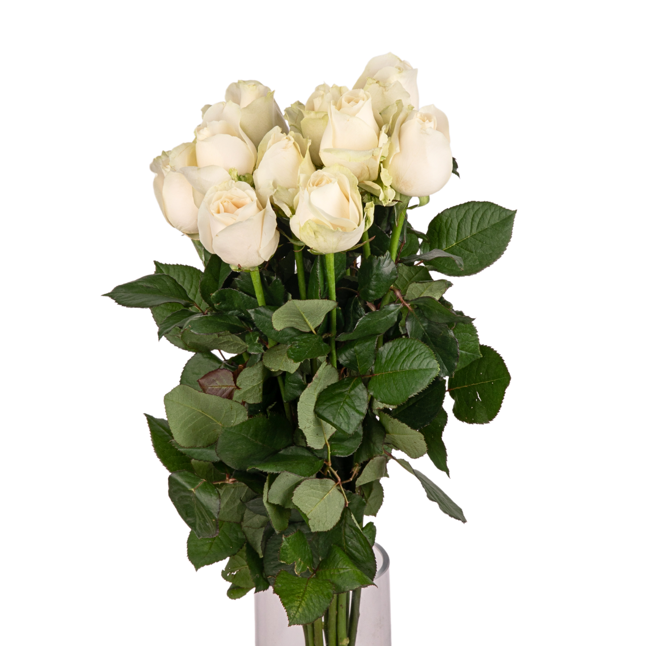 JM Flower Rose (Standard Grade) - White | NTUC FairPrice