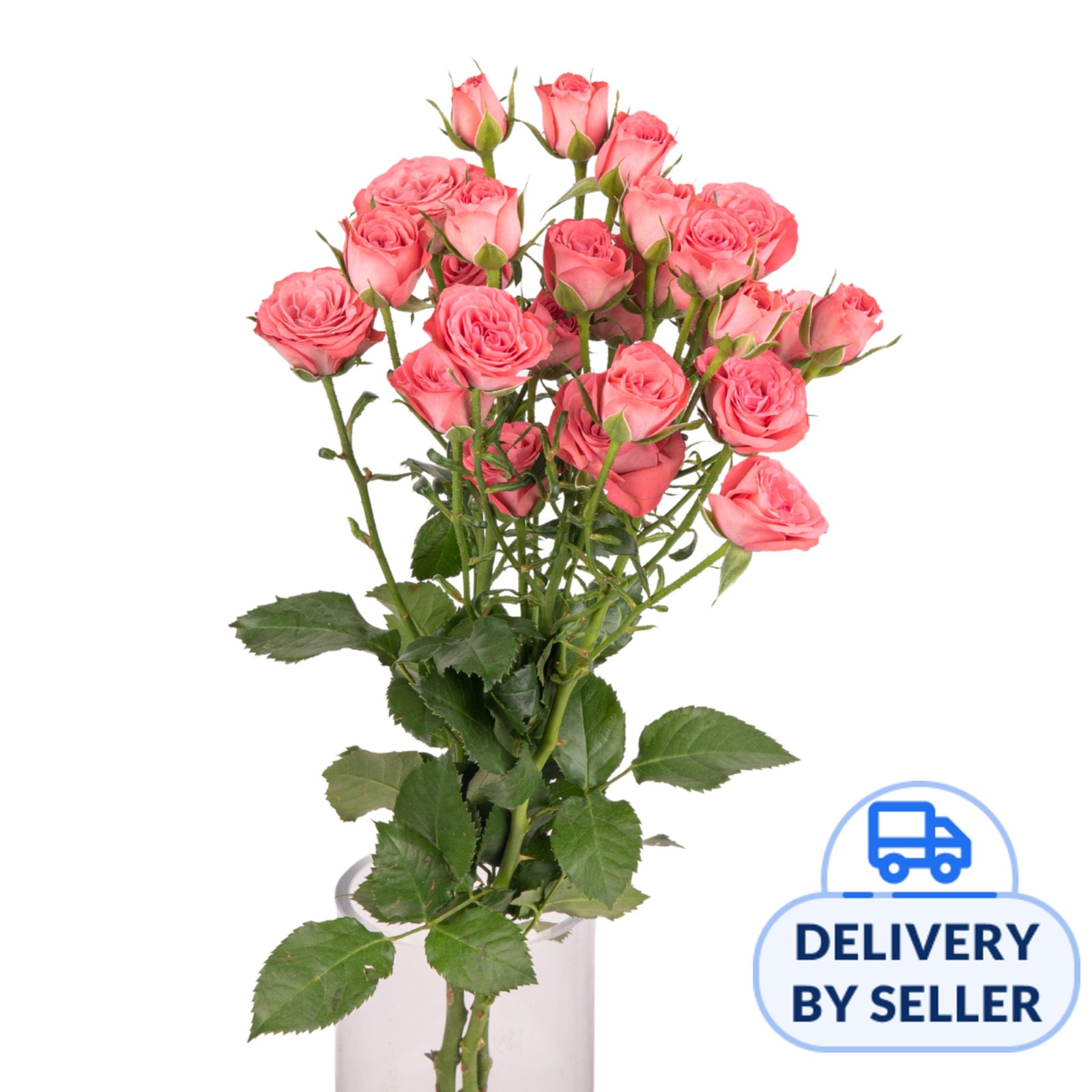 JM Flower Rose Spray (Premium Grade) - Pink | NTUC FairPrice