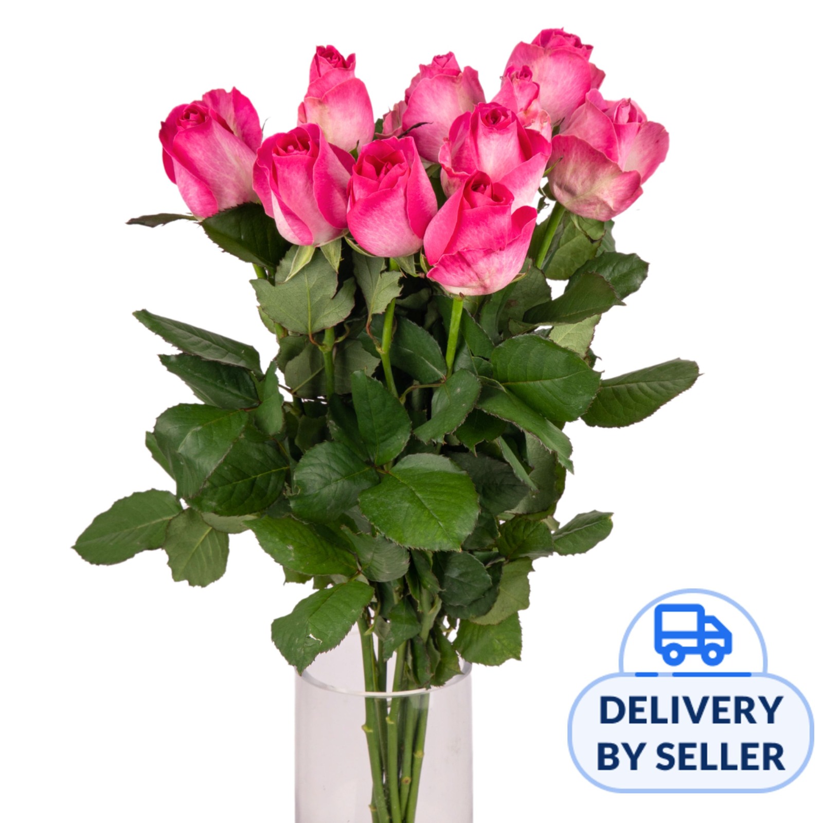 JM Flower Rose (Standard Grade) - Dark pink | NTUC FairPrice