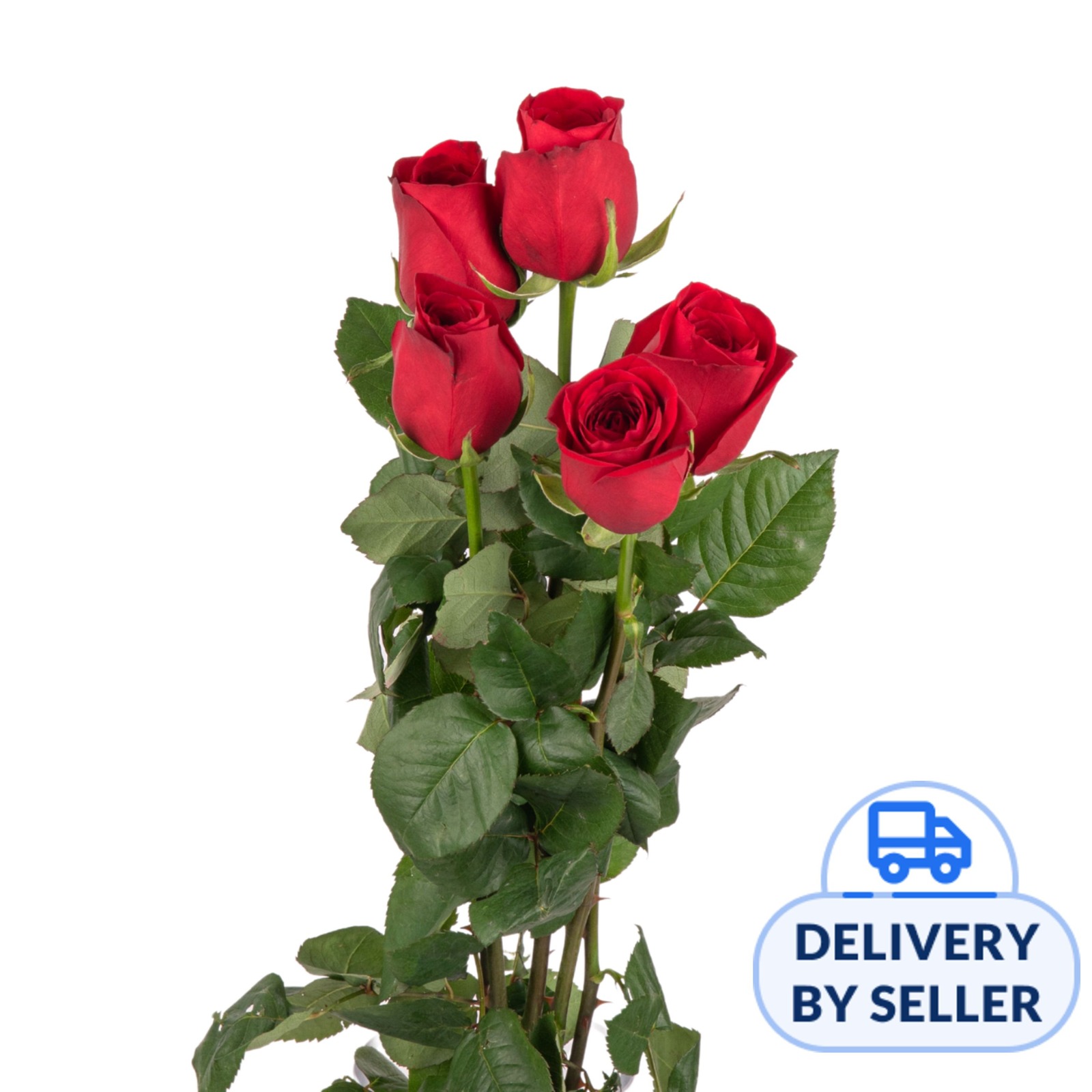 JM Flower Rose (Standard Grade) - Red | NTUC FairPrice