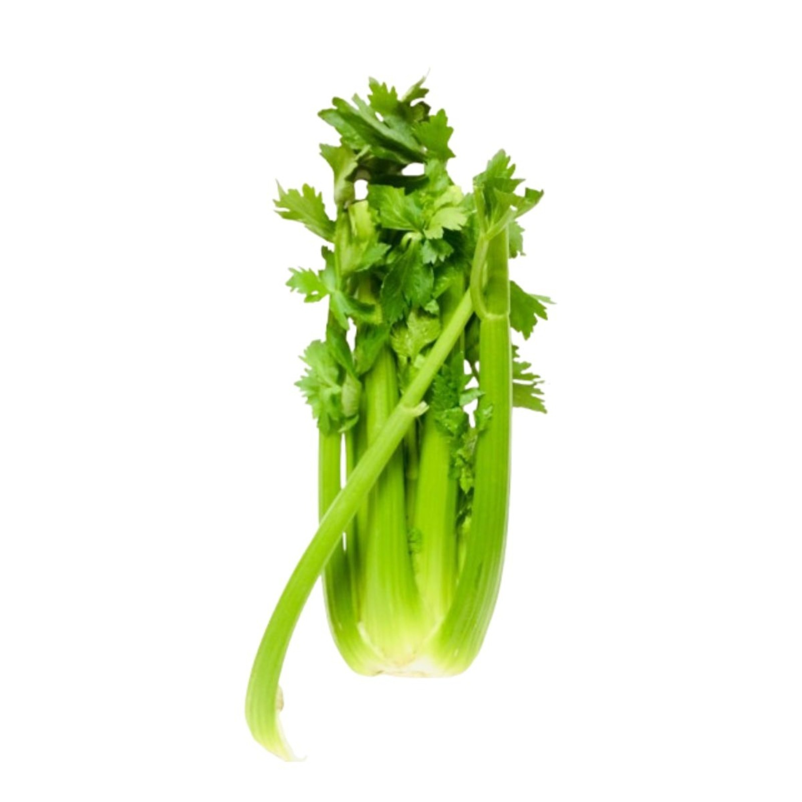 Vegeponics Fresh Australian Celery | NTUC FairPrice
