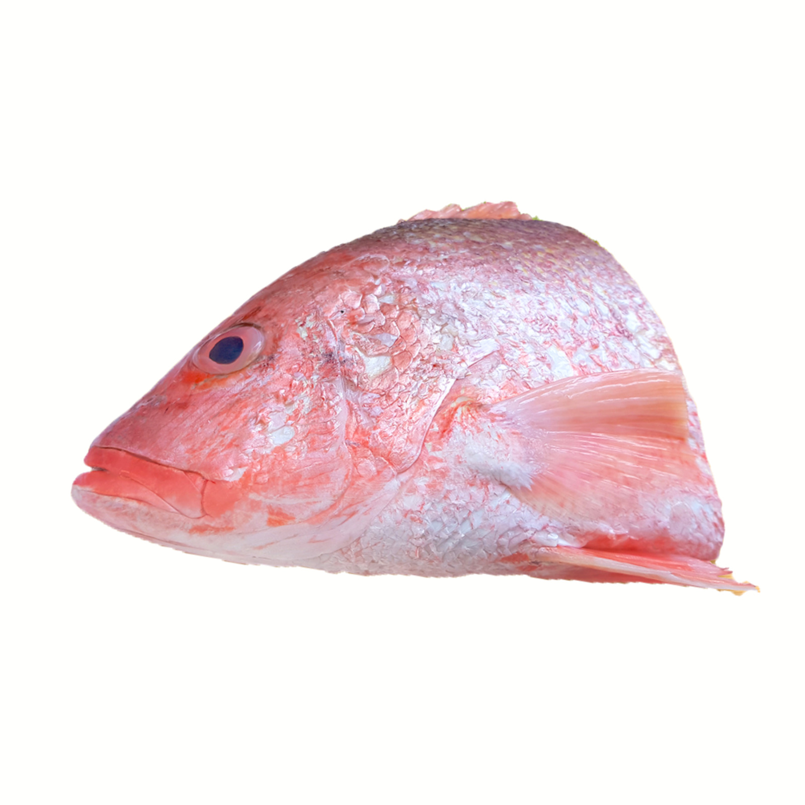 Pan Royal Fresh Red Snapper Half Head | NTUC FairPrice