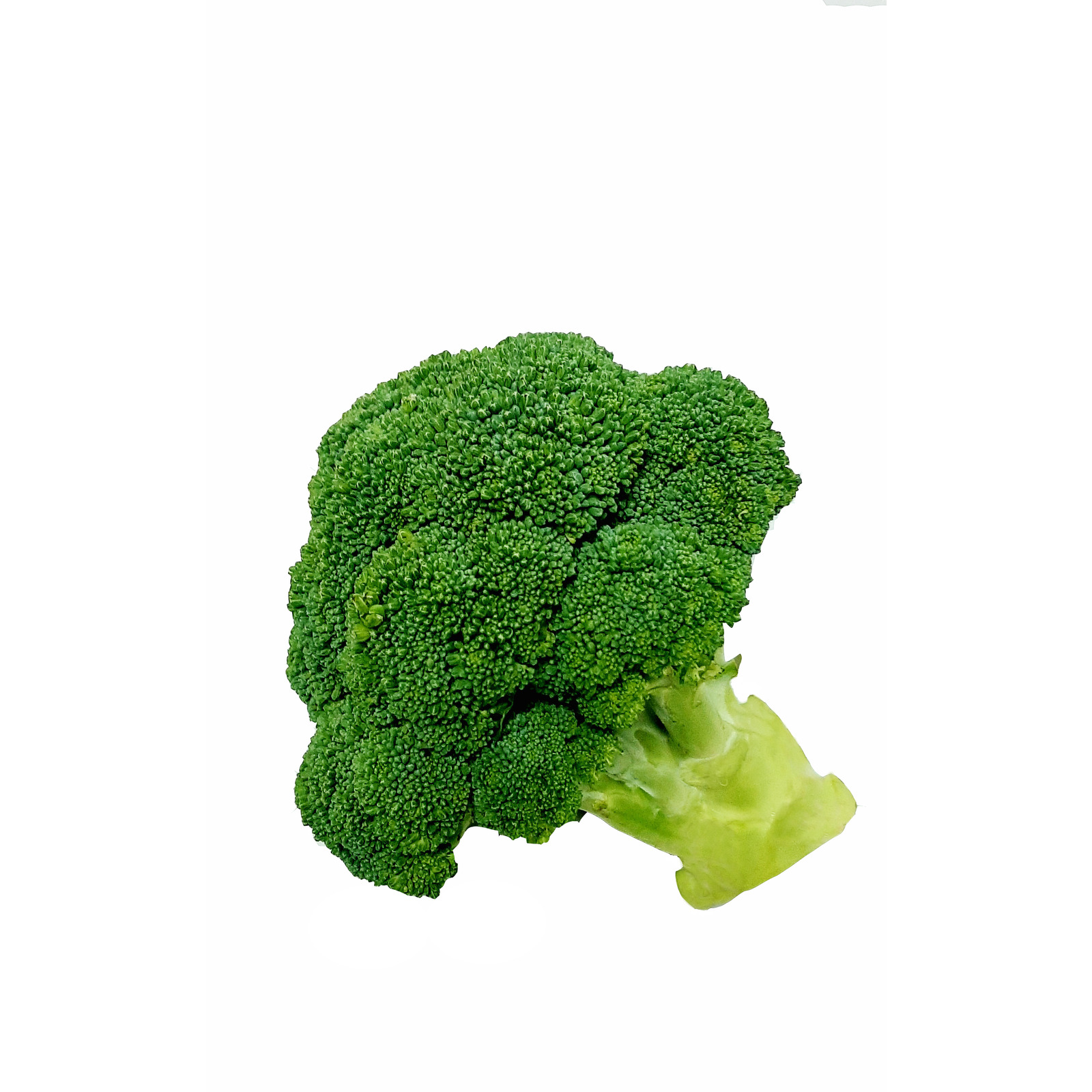 Vegeponics Australian Fresh Broccoli | NTUC FairPrice
