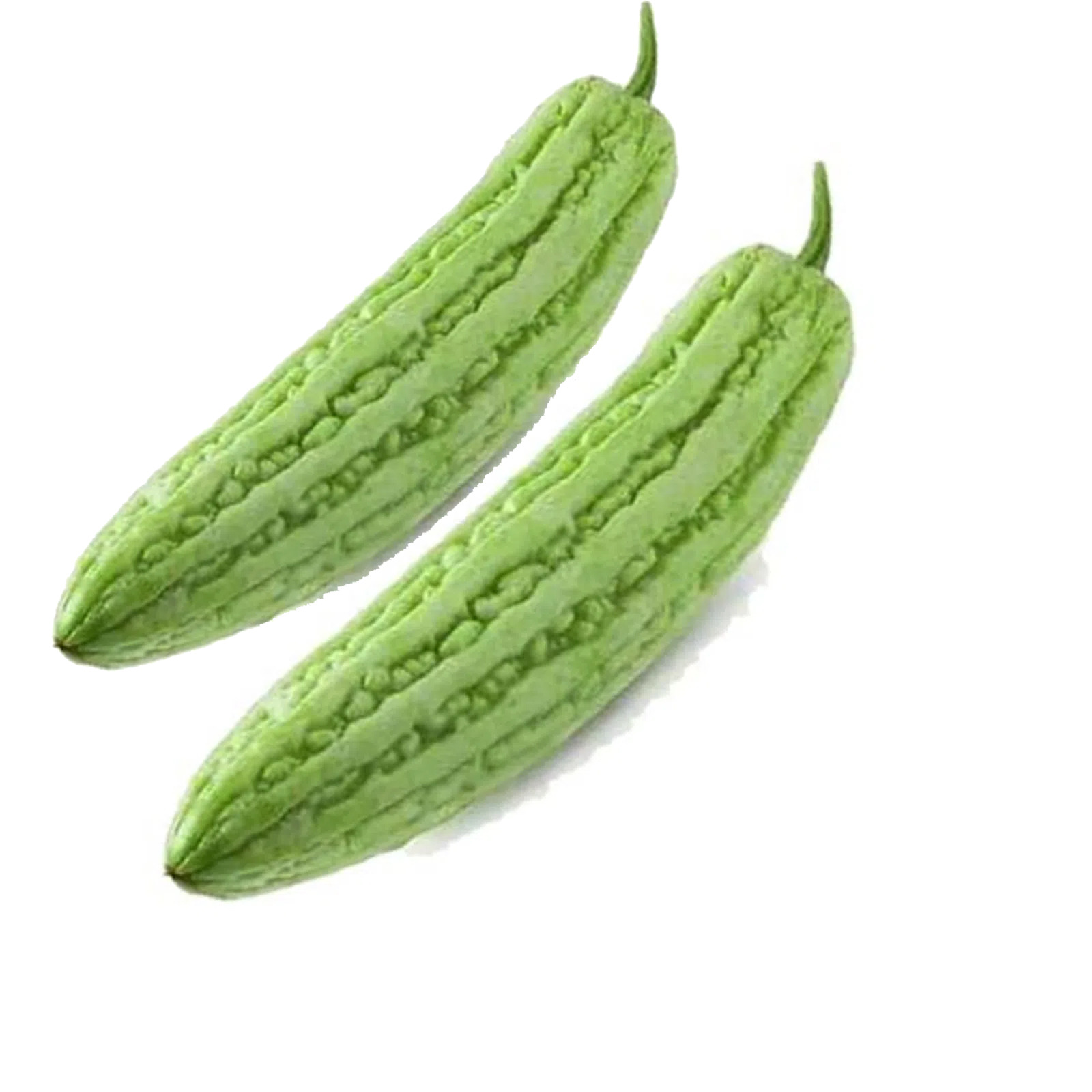 Orgo Fresh Malaysian Kampung Bitter Gourd 2 Pcs | NTUC FairPrice