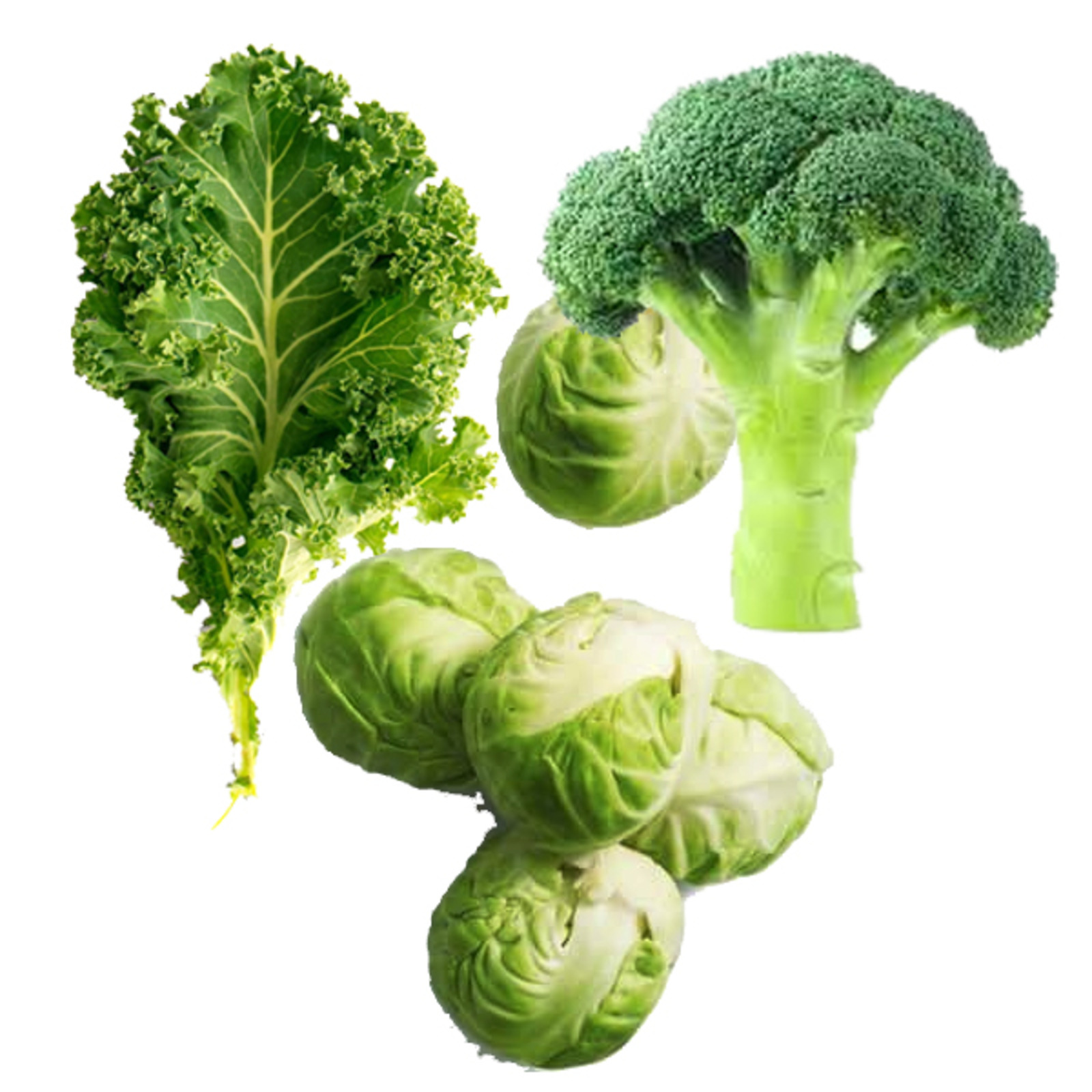 Orgo Fresh Vitamin K Soup Set (Kale, broccoli, Brussels) | NTUC FairPrice