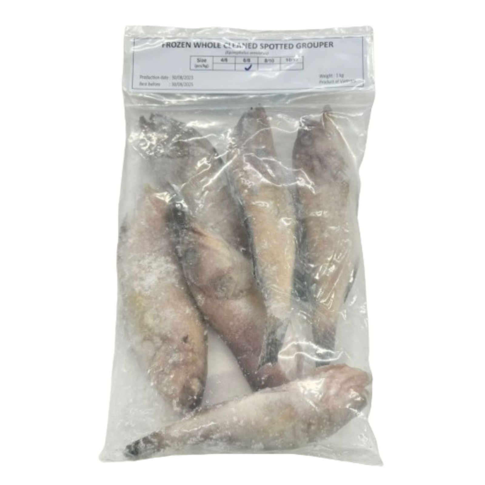 Blue Oceans Grouper Fish (Whole Clean 6-8) | NTUC FairPrice