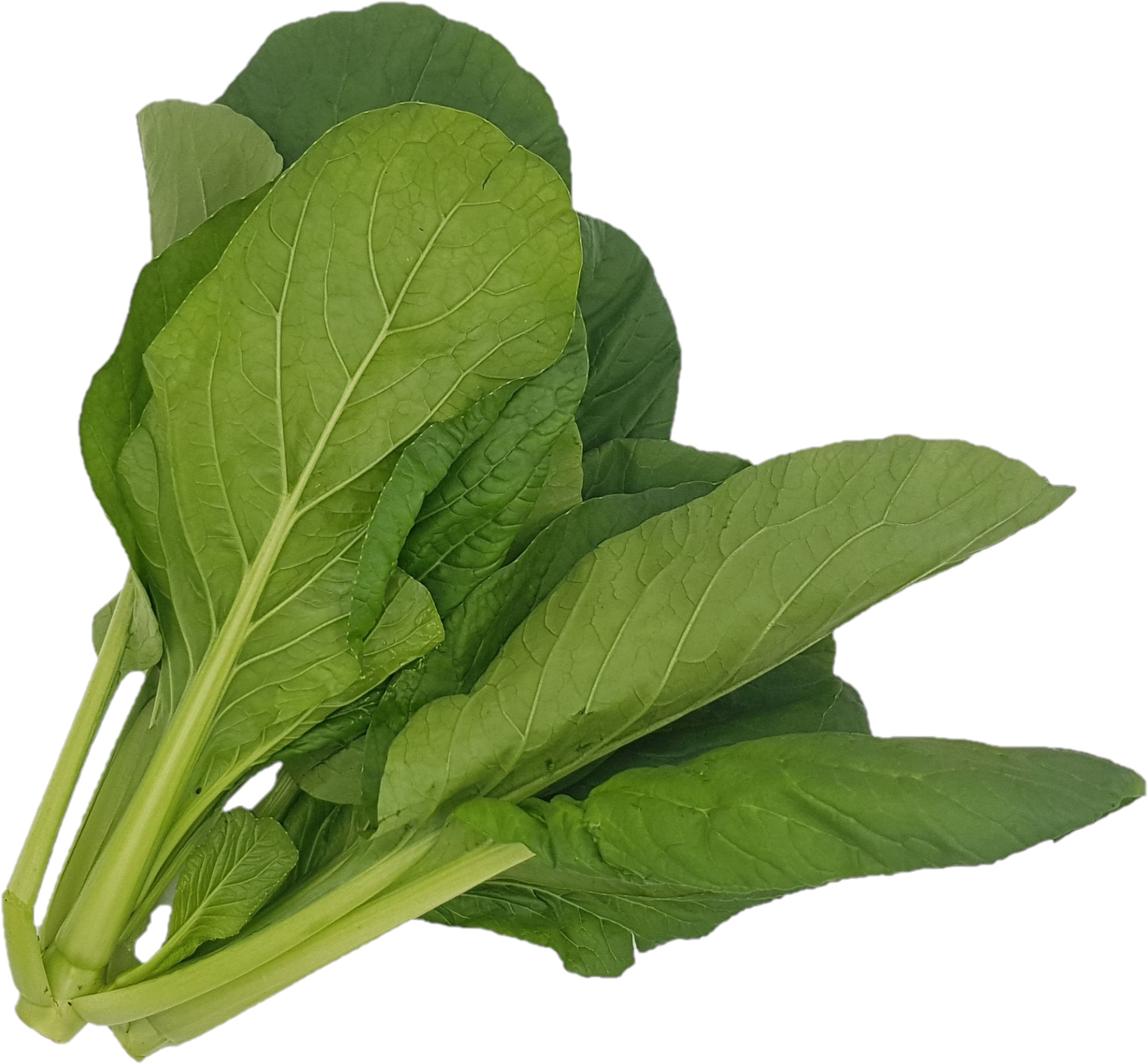 Vegeponics Chye Sim | NTUC FairPrice