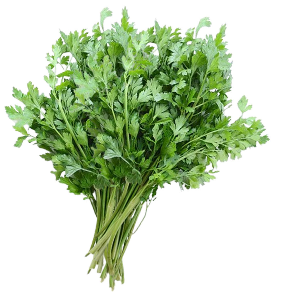 Orgo Fresh Fragrant Aromatic Parsley Herb Leaves/ Leaf | NTUC FairPrice