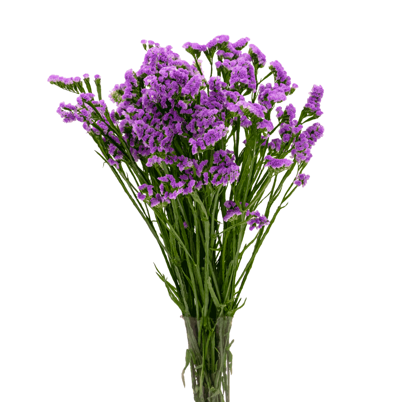 JM Flower Statice - Light Purple | NTUC FairPrice