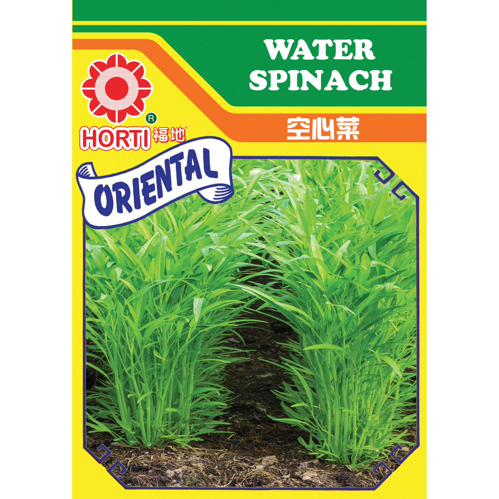 Water Spinach Seeds | NTUC FairPrice