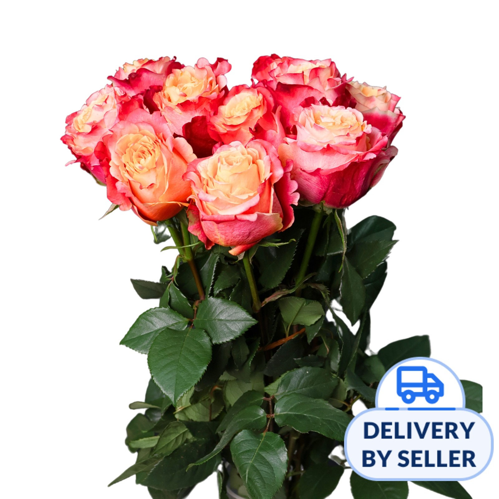 JM Flower Rose (Super Grade) - Two Tone Red | NTUC FairPrice