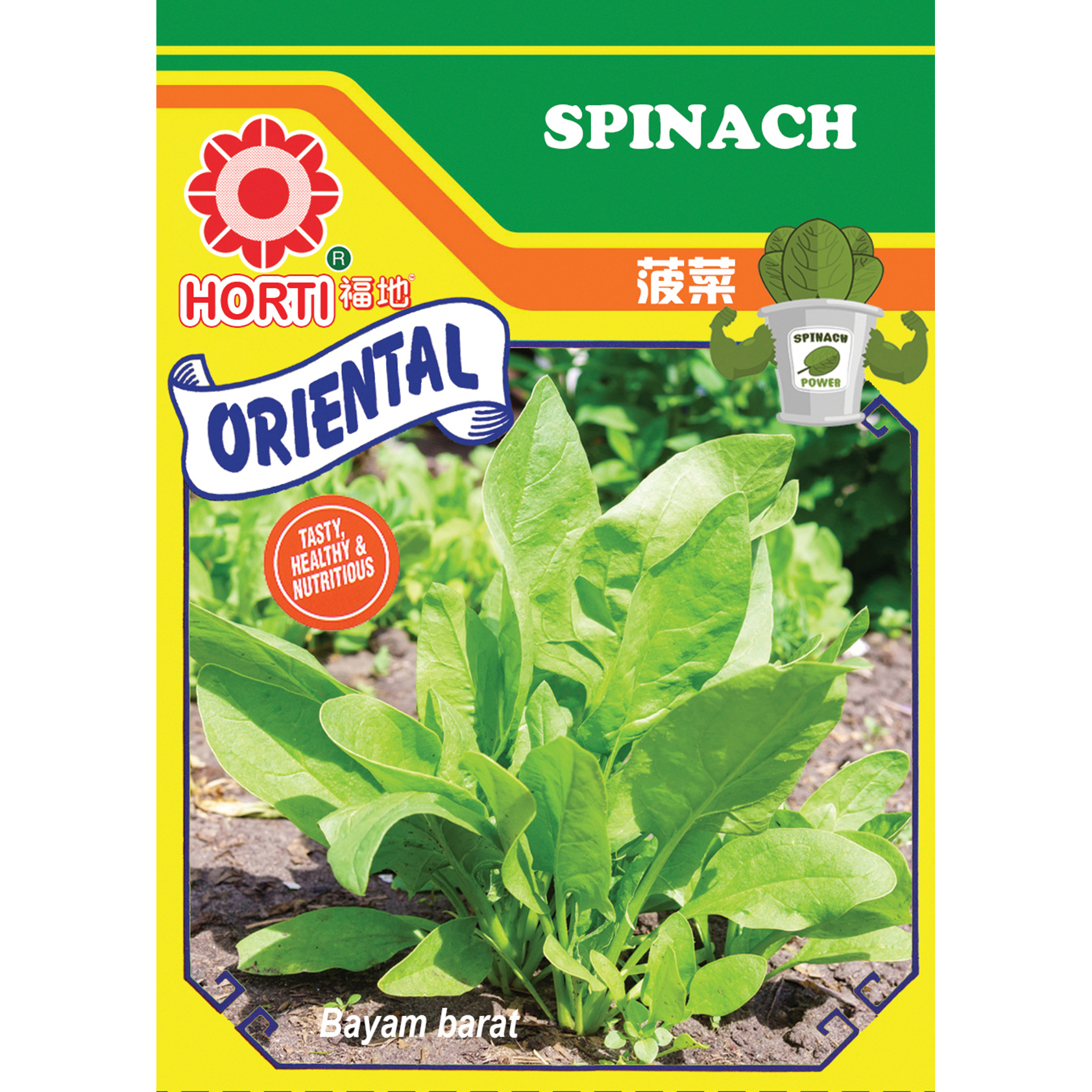Spinach Seeds | NTUC FairPrice